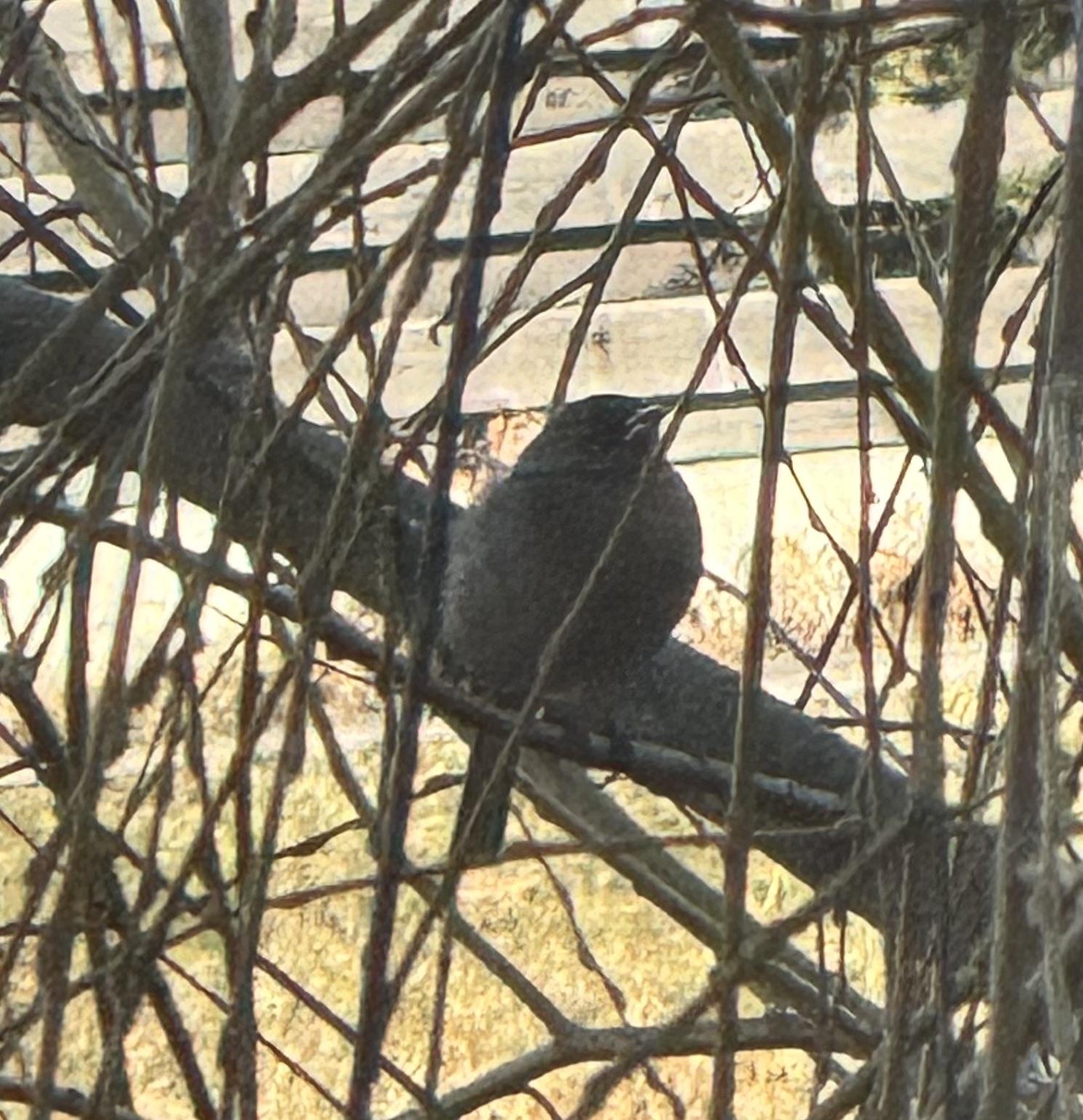 New visitor | Scrolller