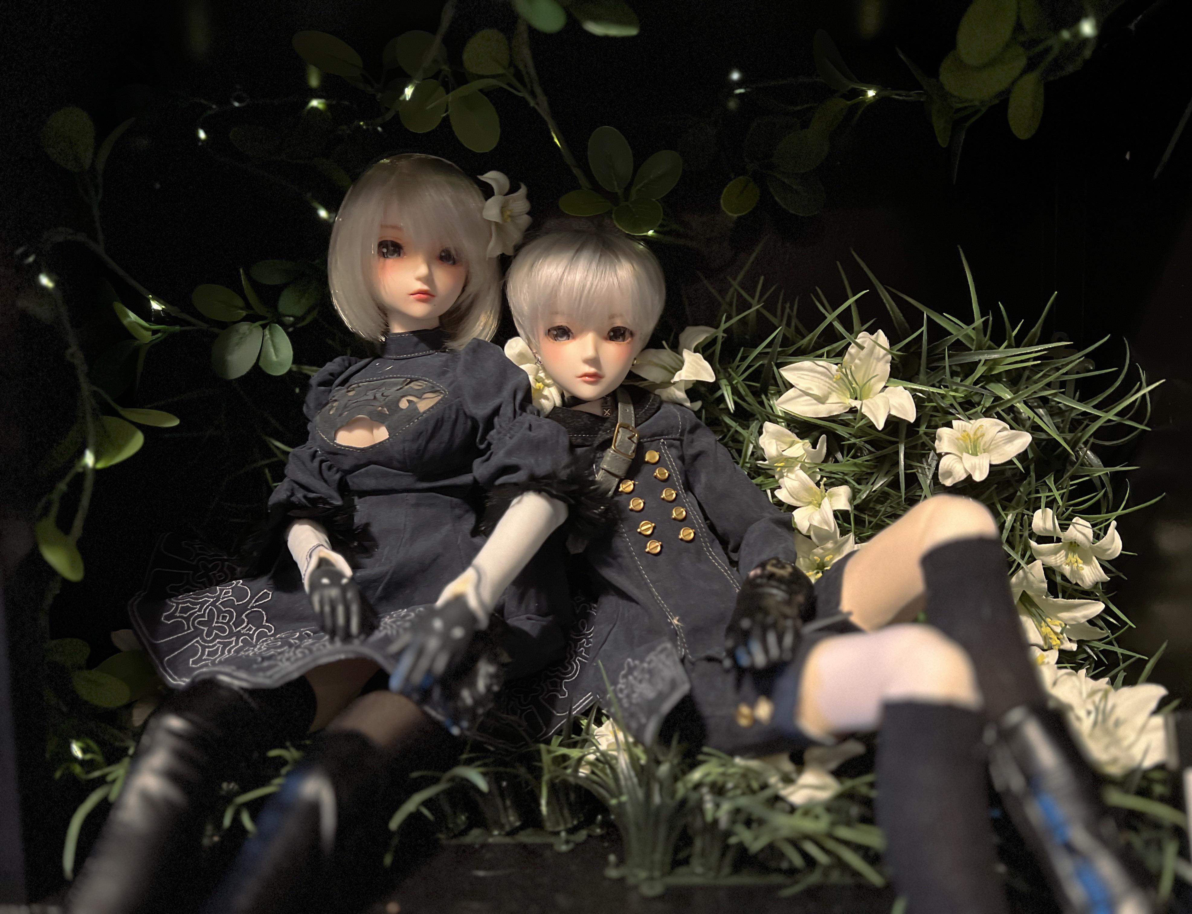 Lunar Tear display I made for my 2B & 9S dolls | Scrolller