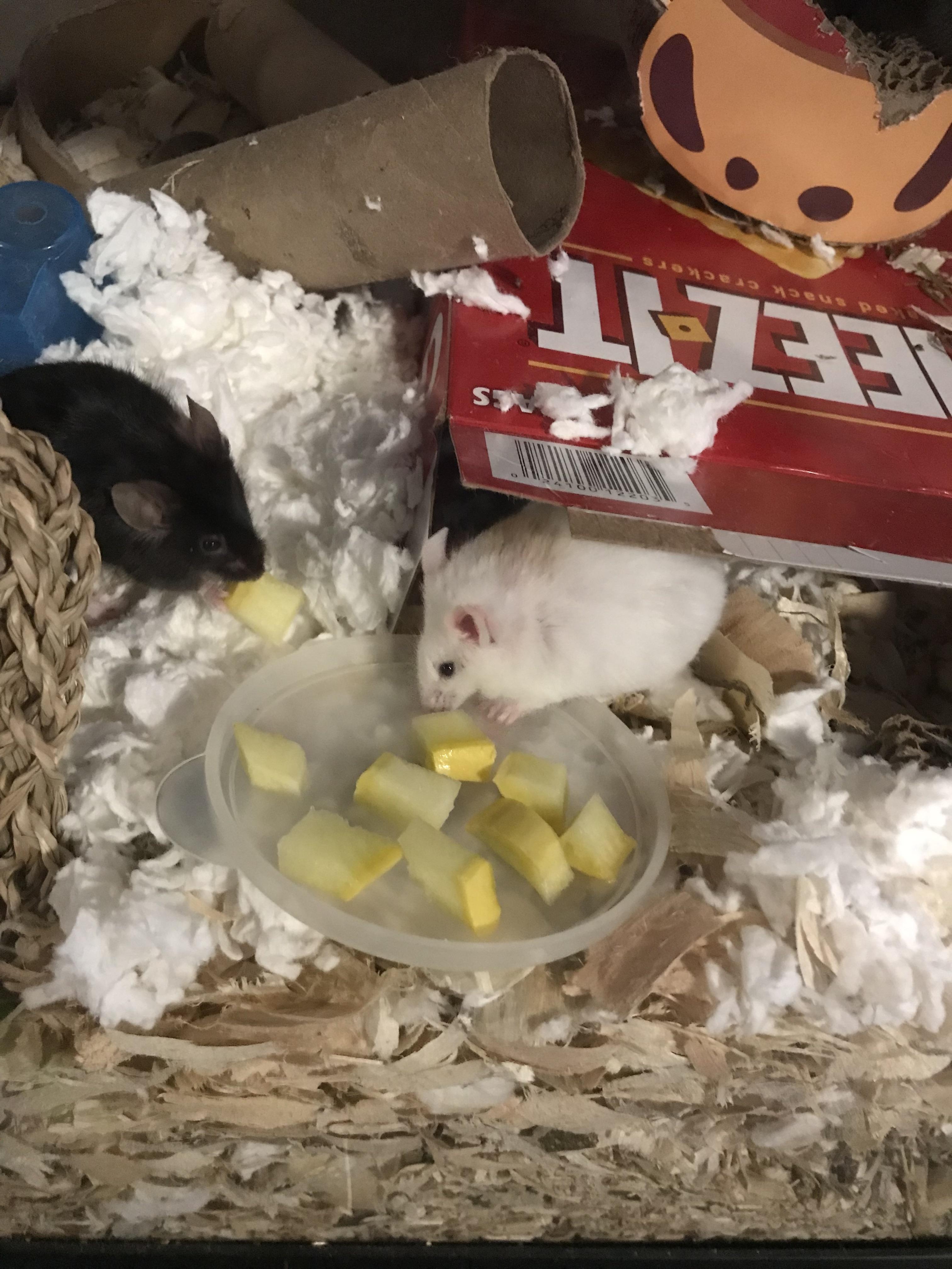 Squash night for the girls! | Scrolller