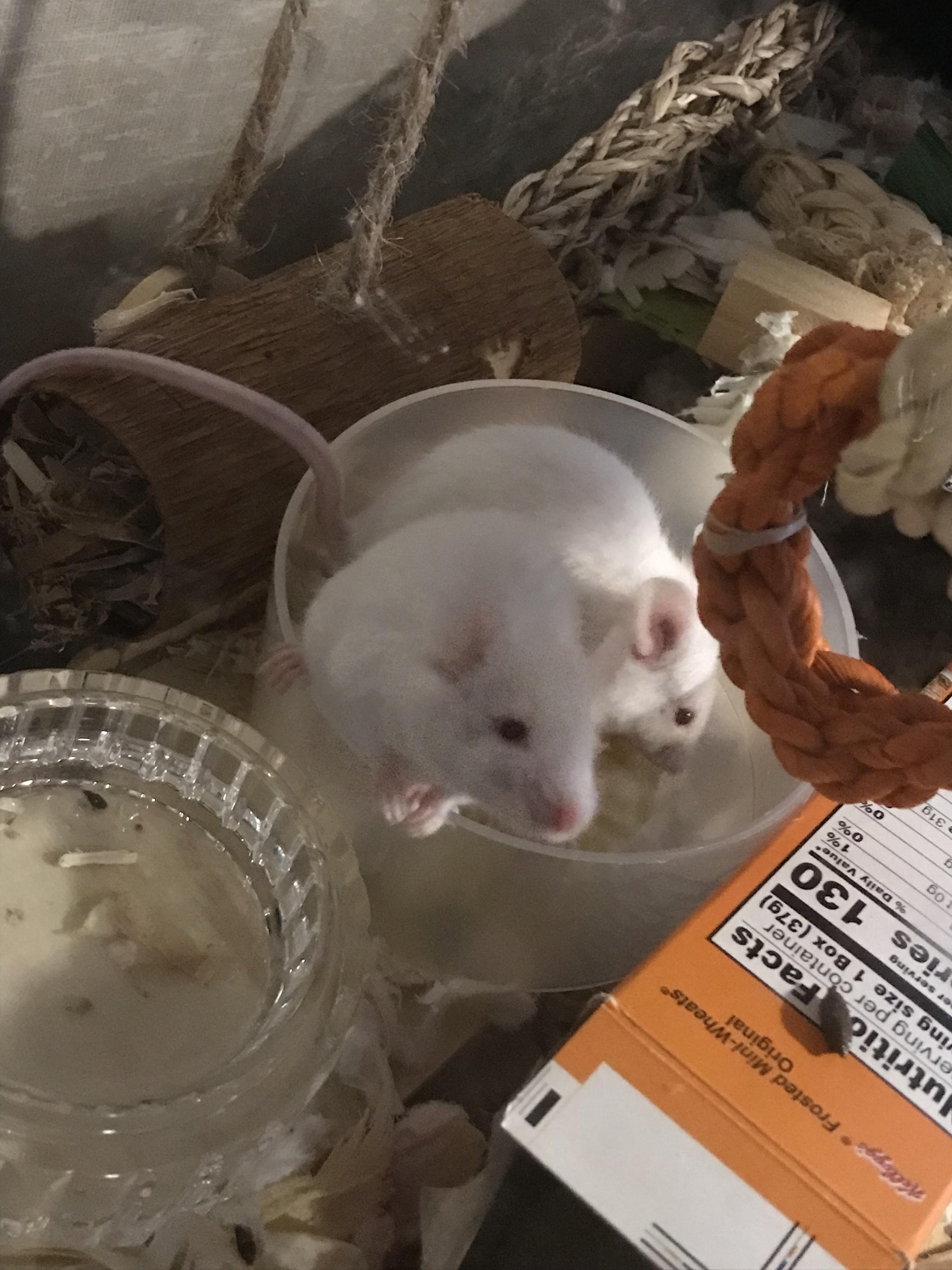 Squash night for the girls! | Scrolller