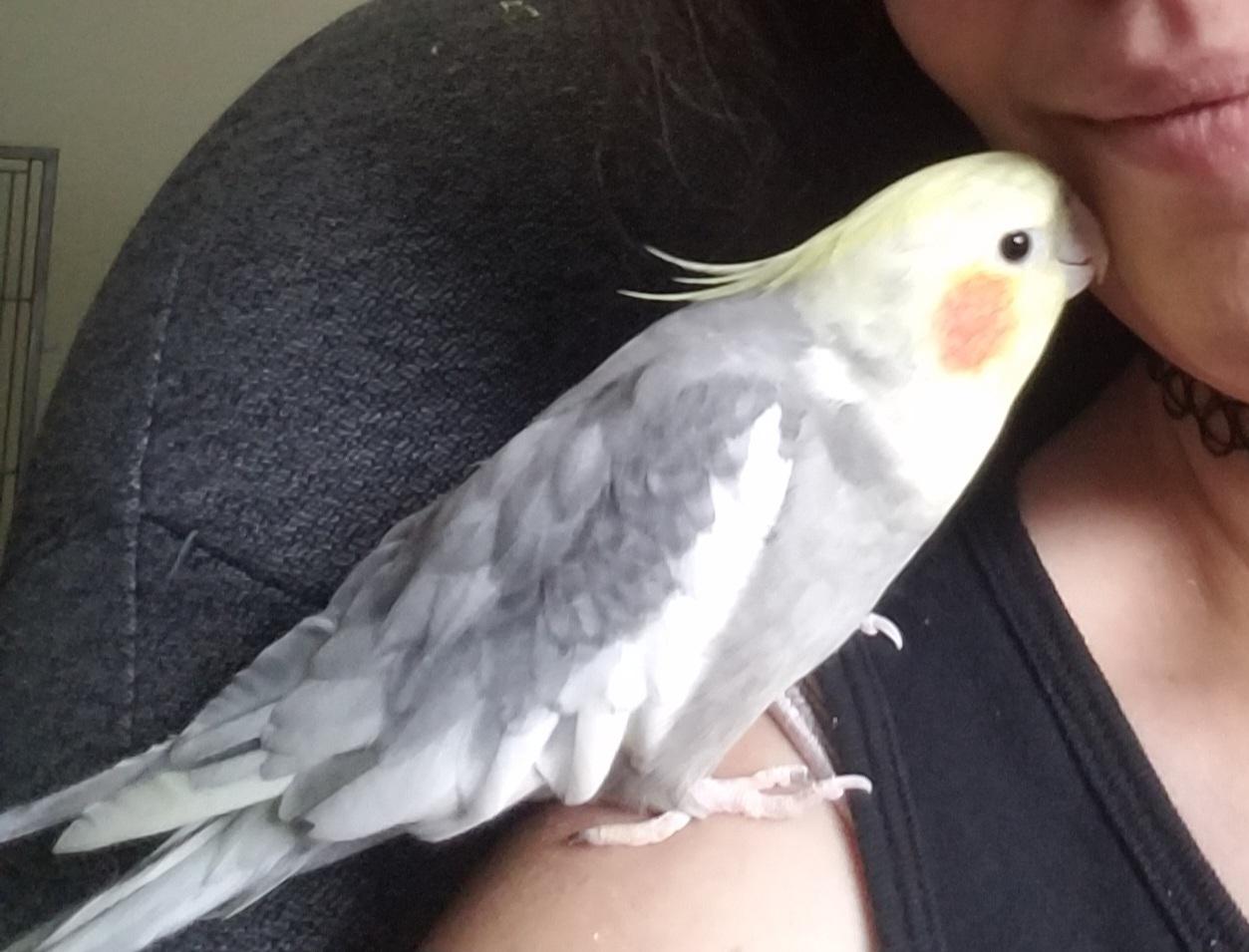 My favorite photos of my goober son | Scrolller