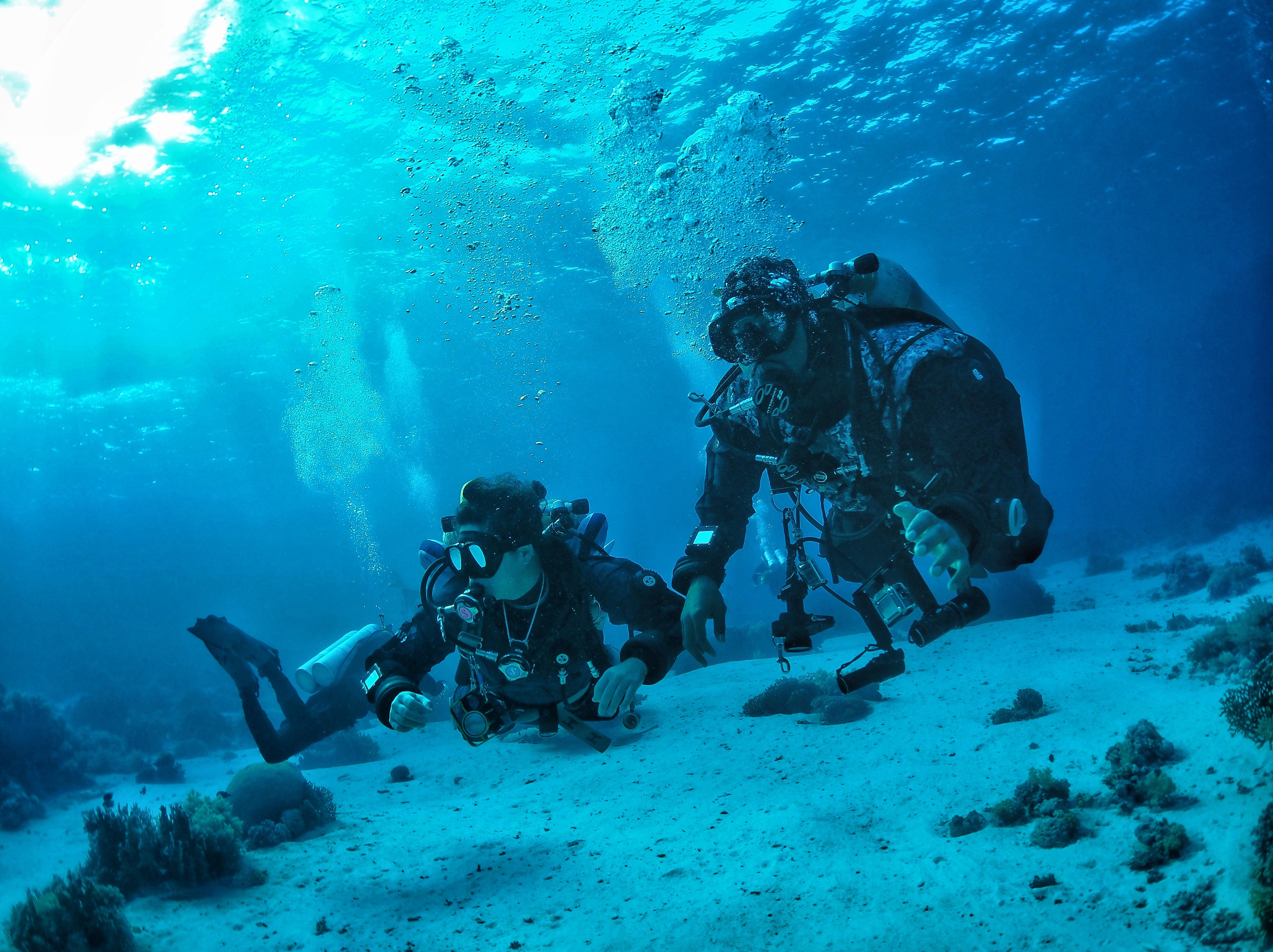 Discover more like Scuba: They Claim to Not Remember What They Were Talking About, and I Took ...