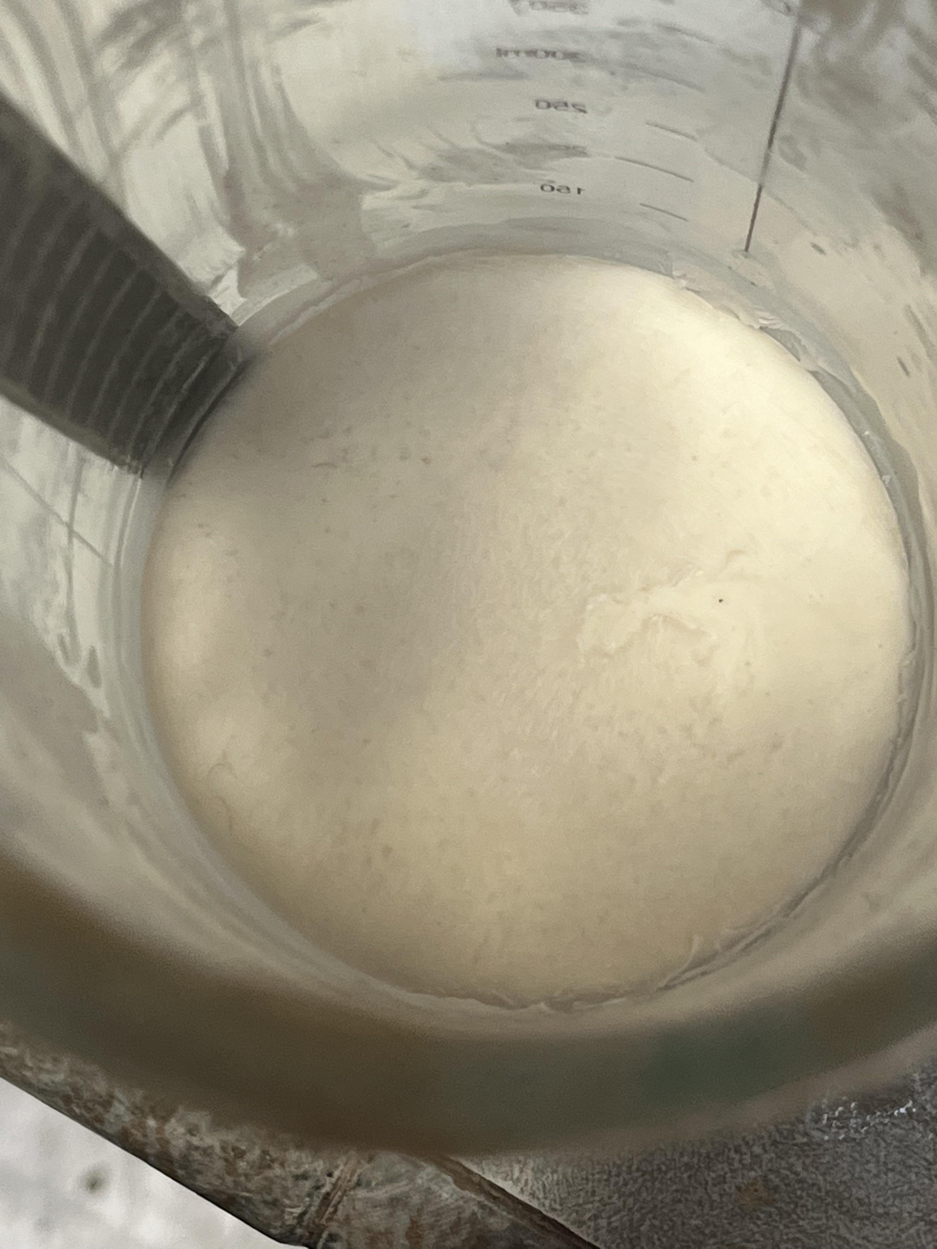 Discover more like Sourdough: Starter molded? and Related Content | Scrolller