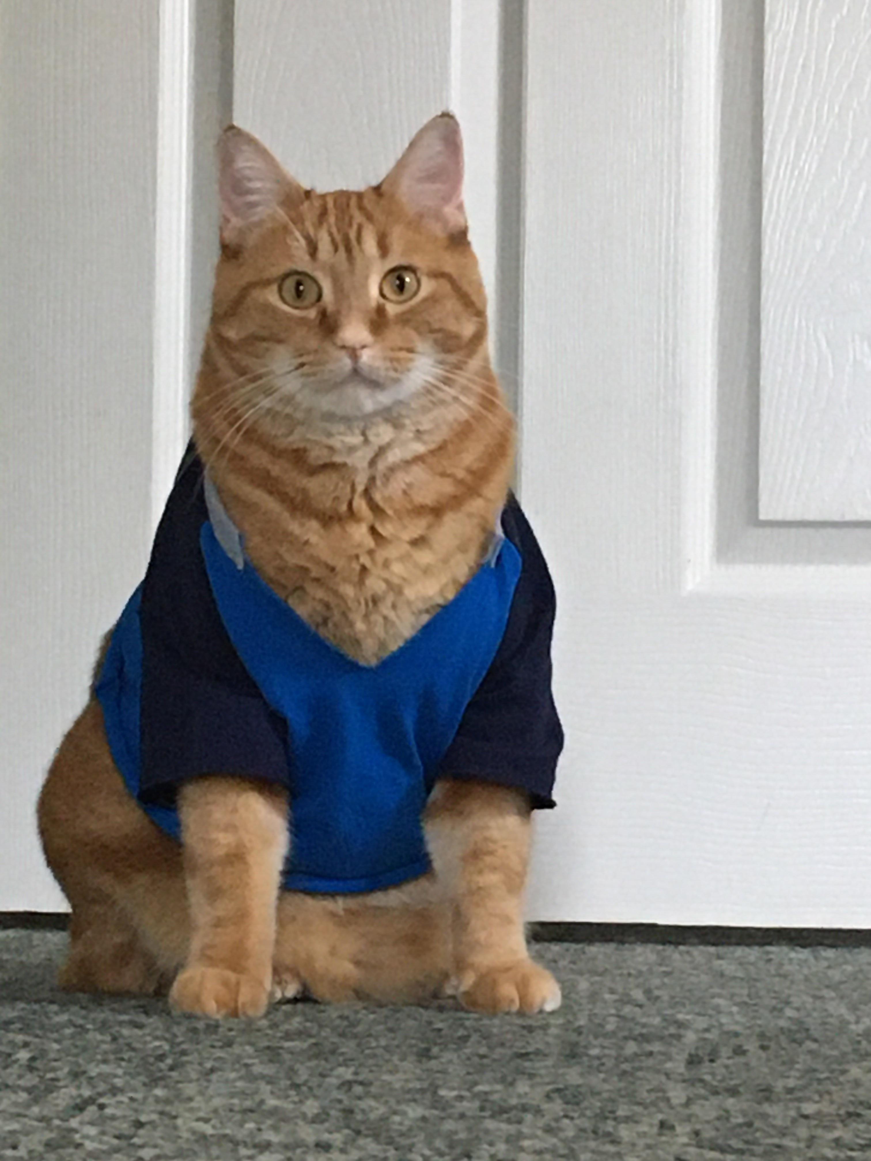 Orange Bean | Scrolller