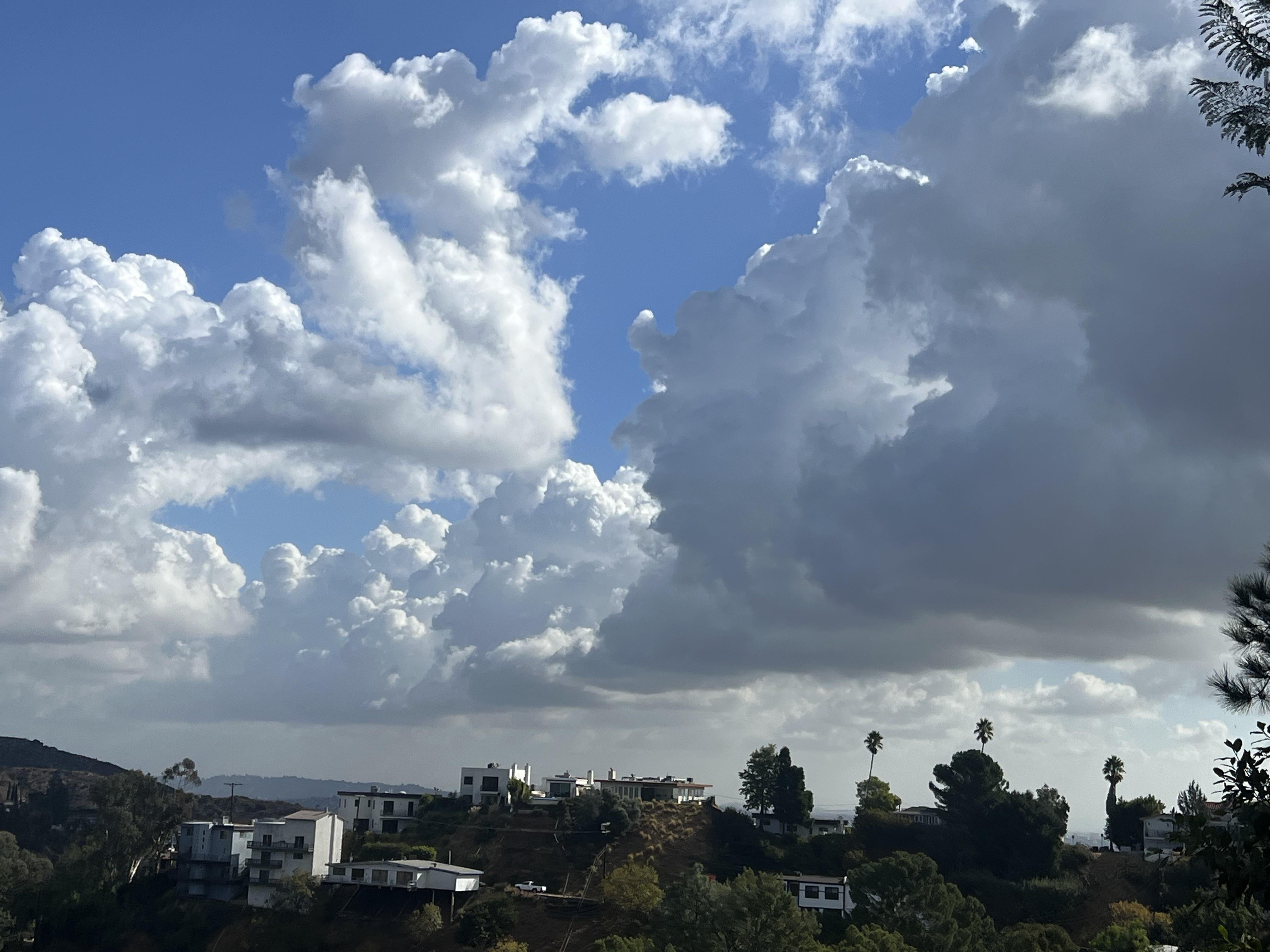 LA recently | Scrolller