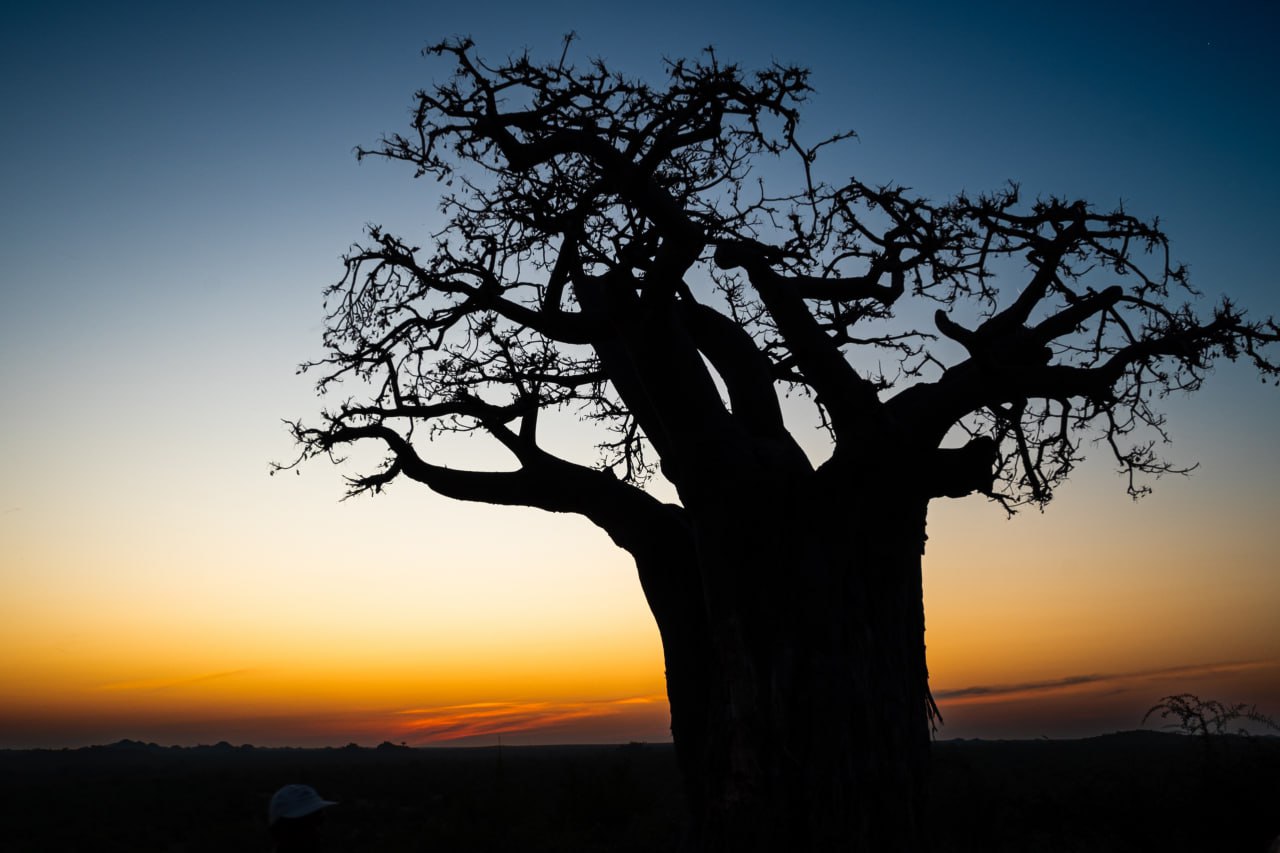 Timeless | Scrolller