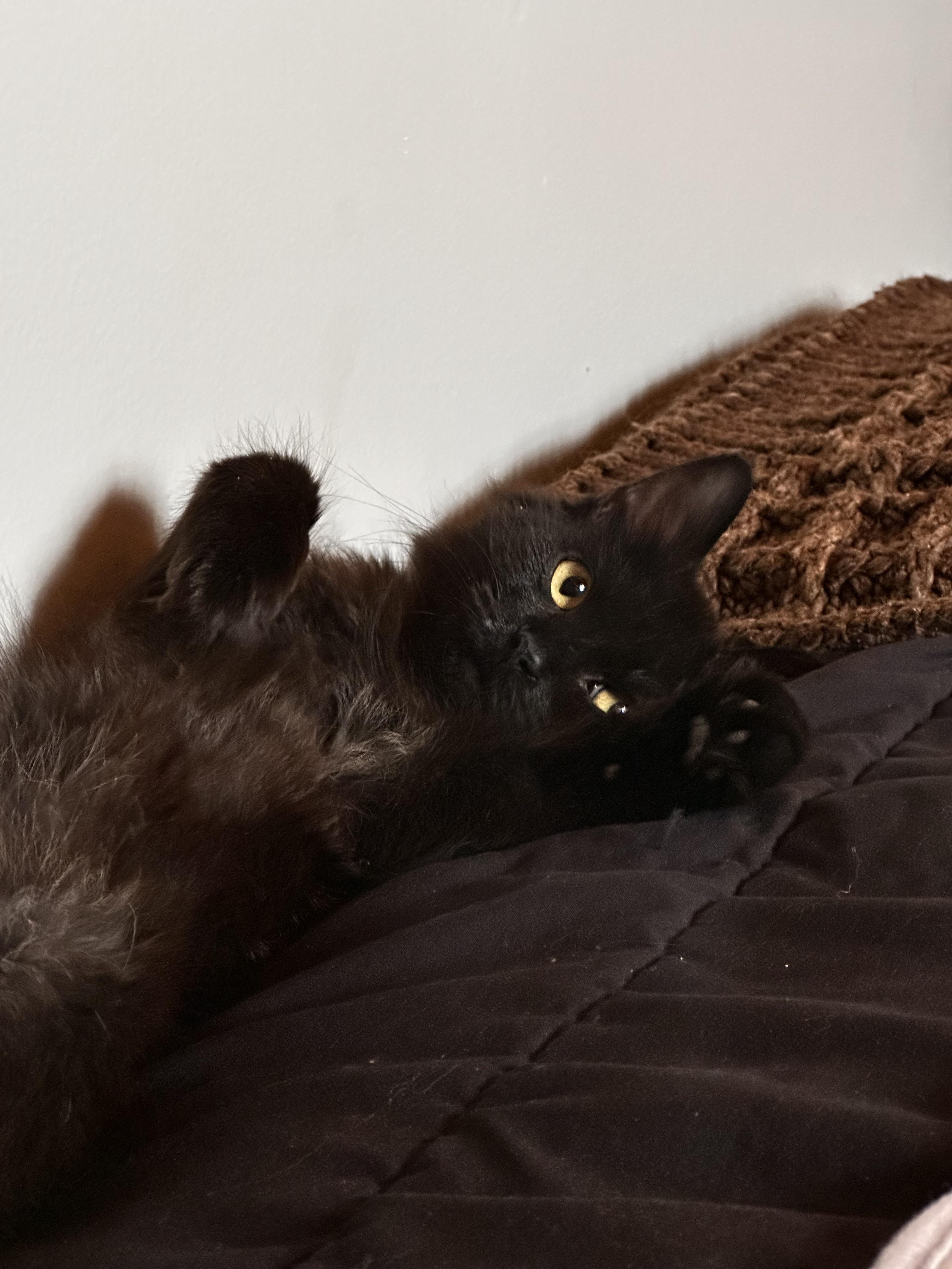 Spot the Void | Scrolller