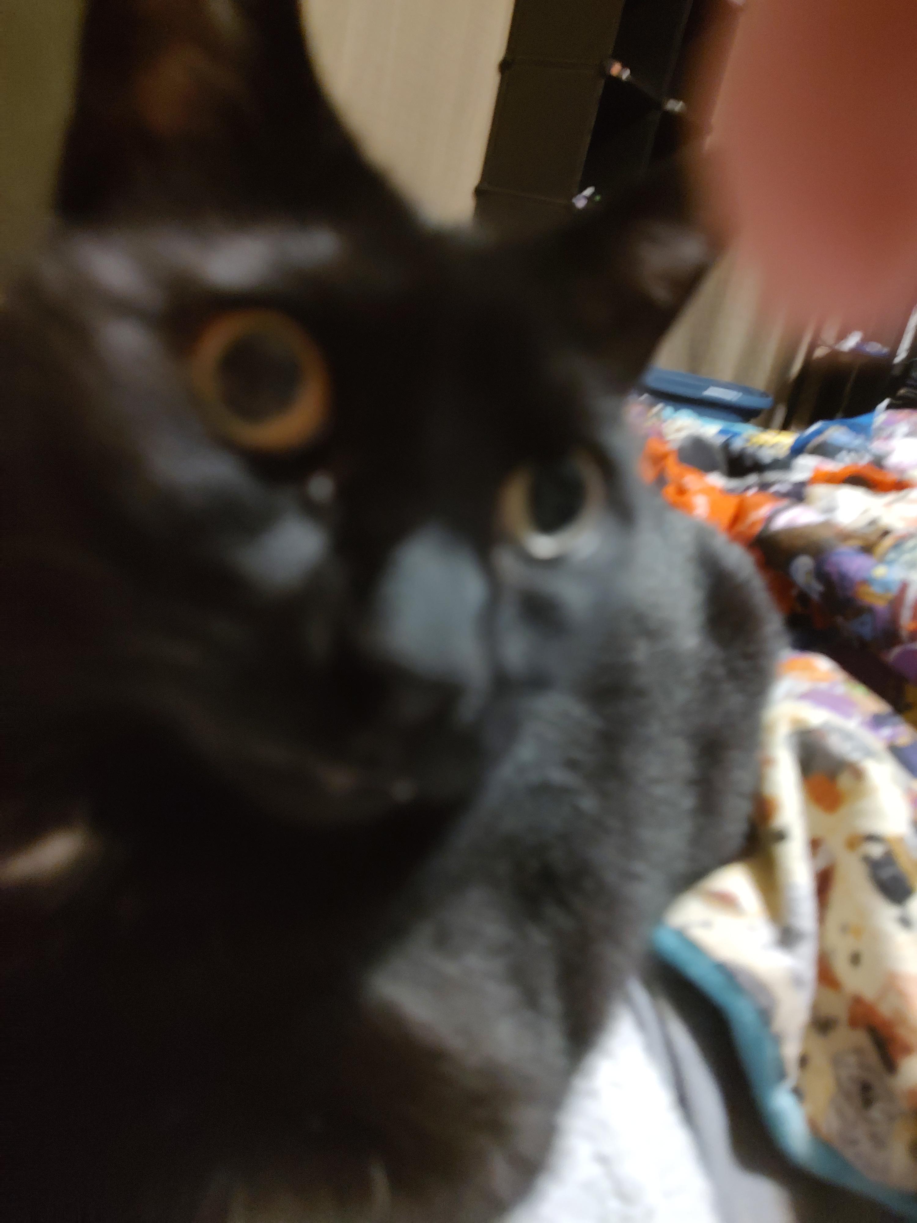 More timmy except he looks very worried and confused | Scrolller