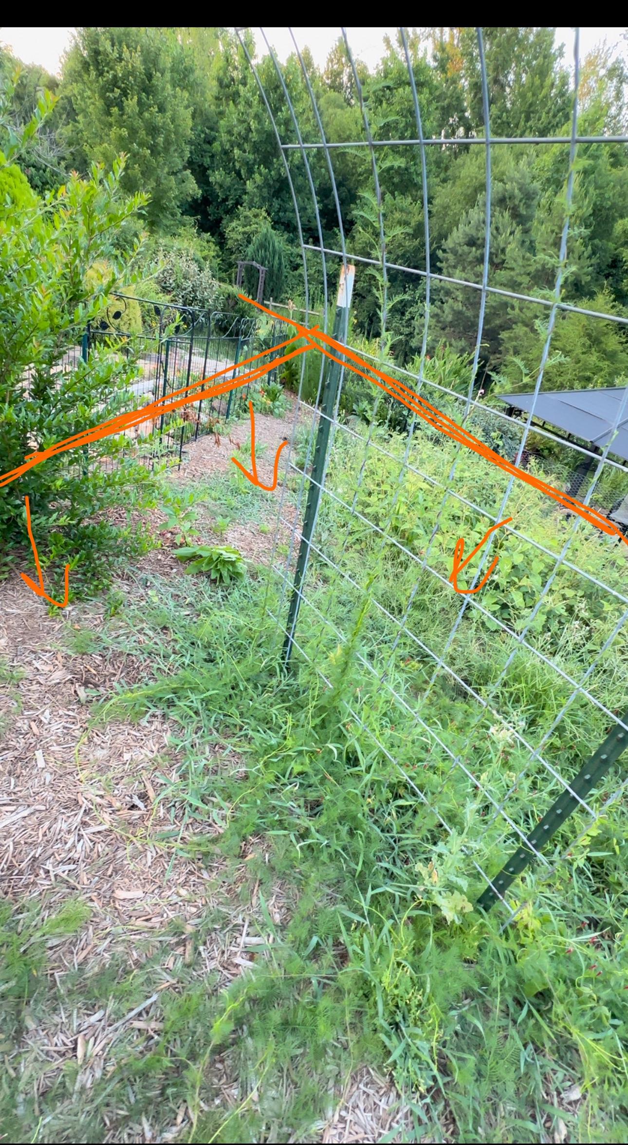 Unwanted plants | Scrolller