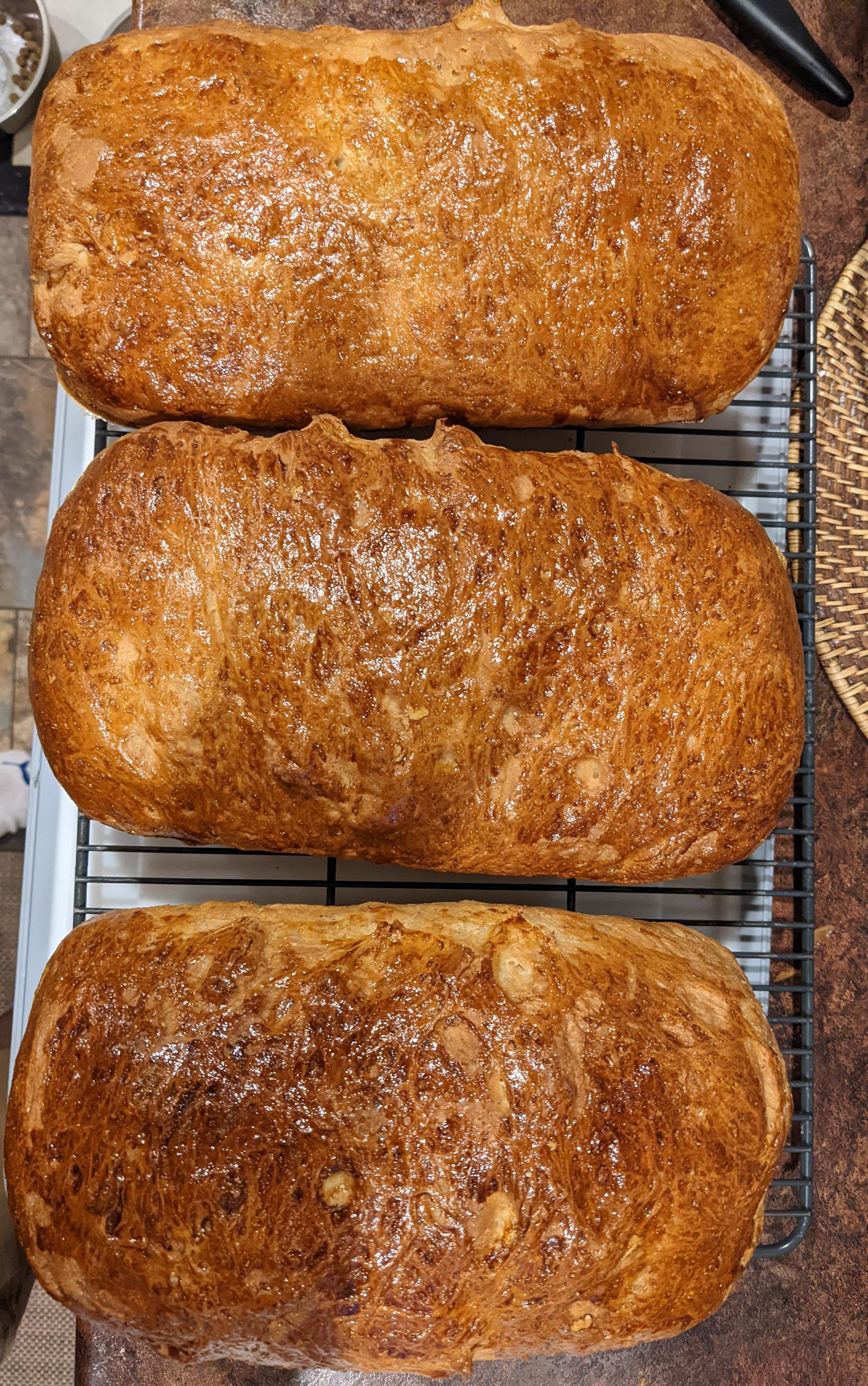 My mom doesn't have Reddit but, her newest loaves are just too pretty not to share! Proud son ...