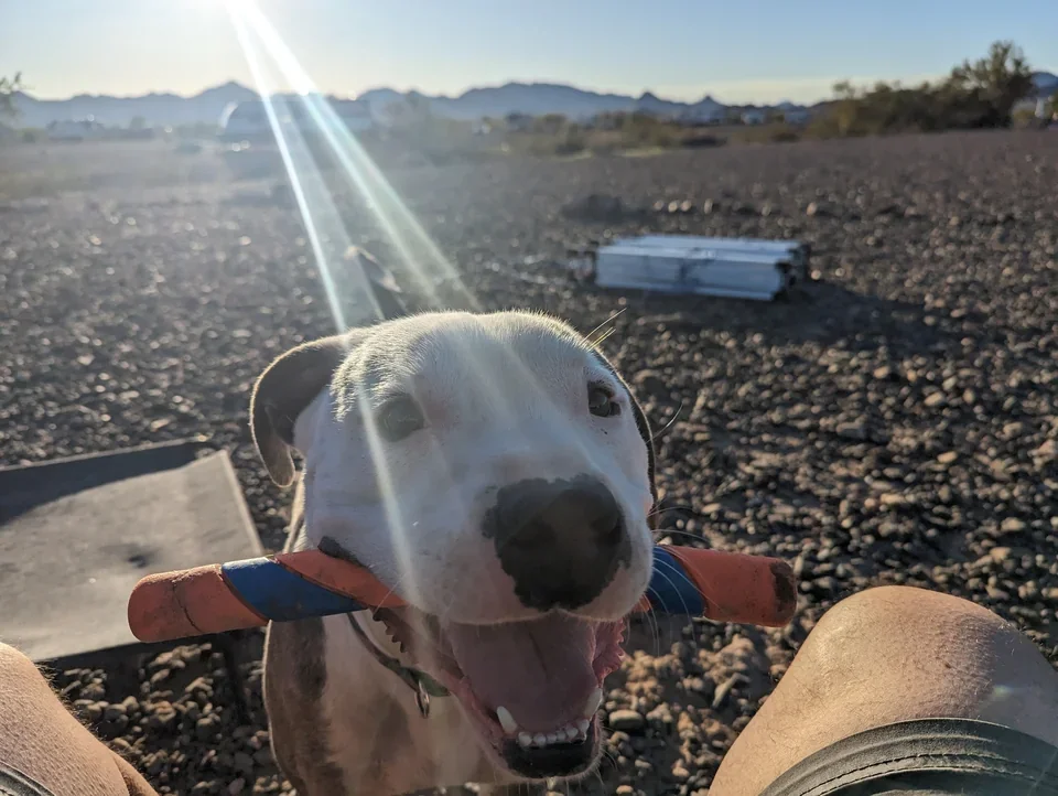 Its dangerous out there, take one of these. Now throw it, now throw it again | Scrolller