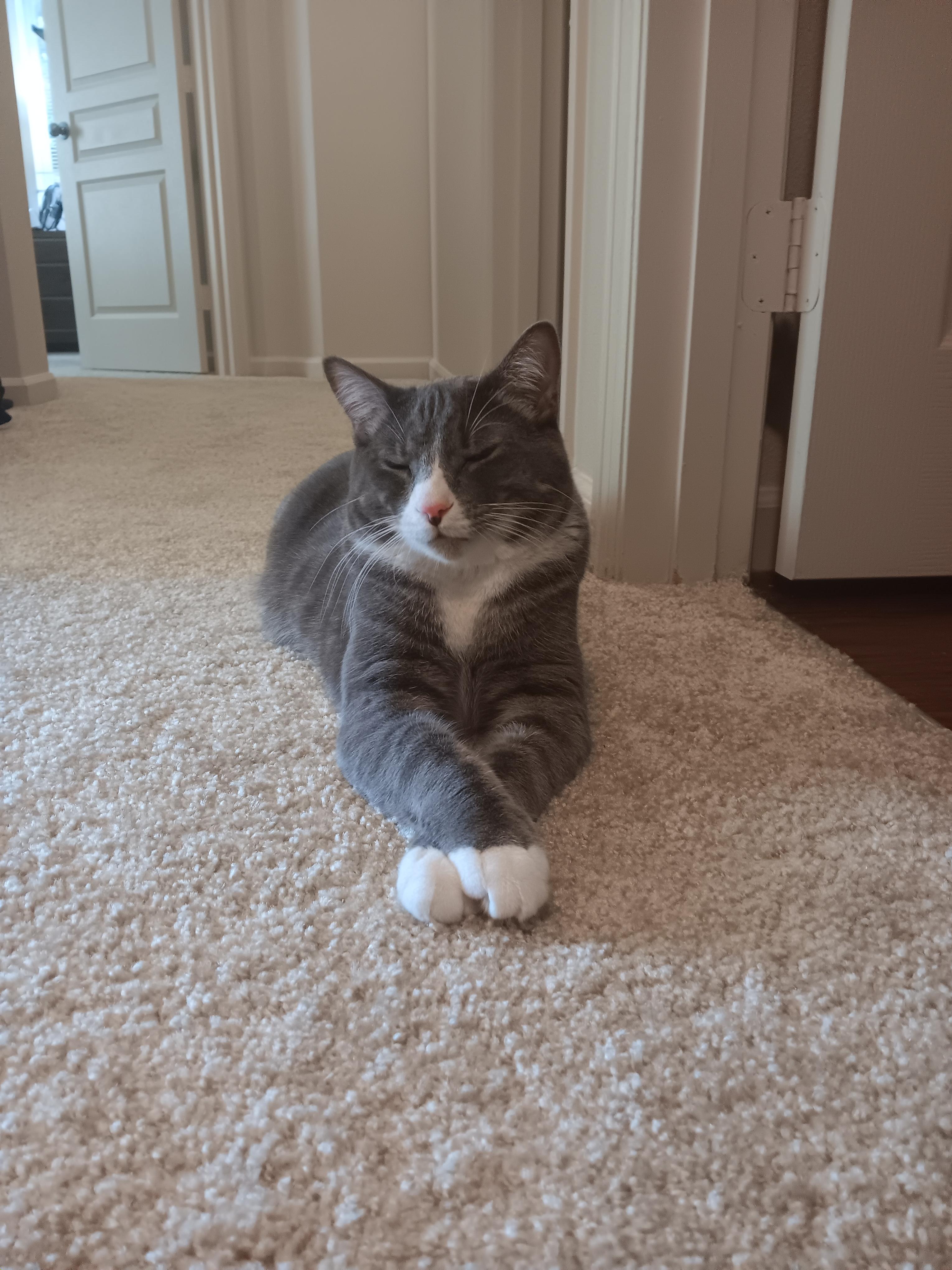 He looks so polite 😭😭 | Scrolller