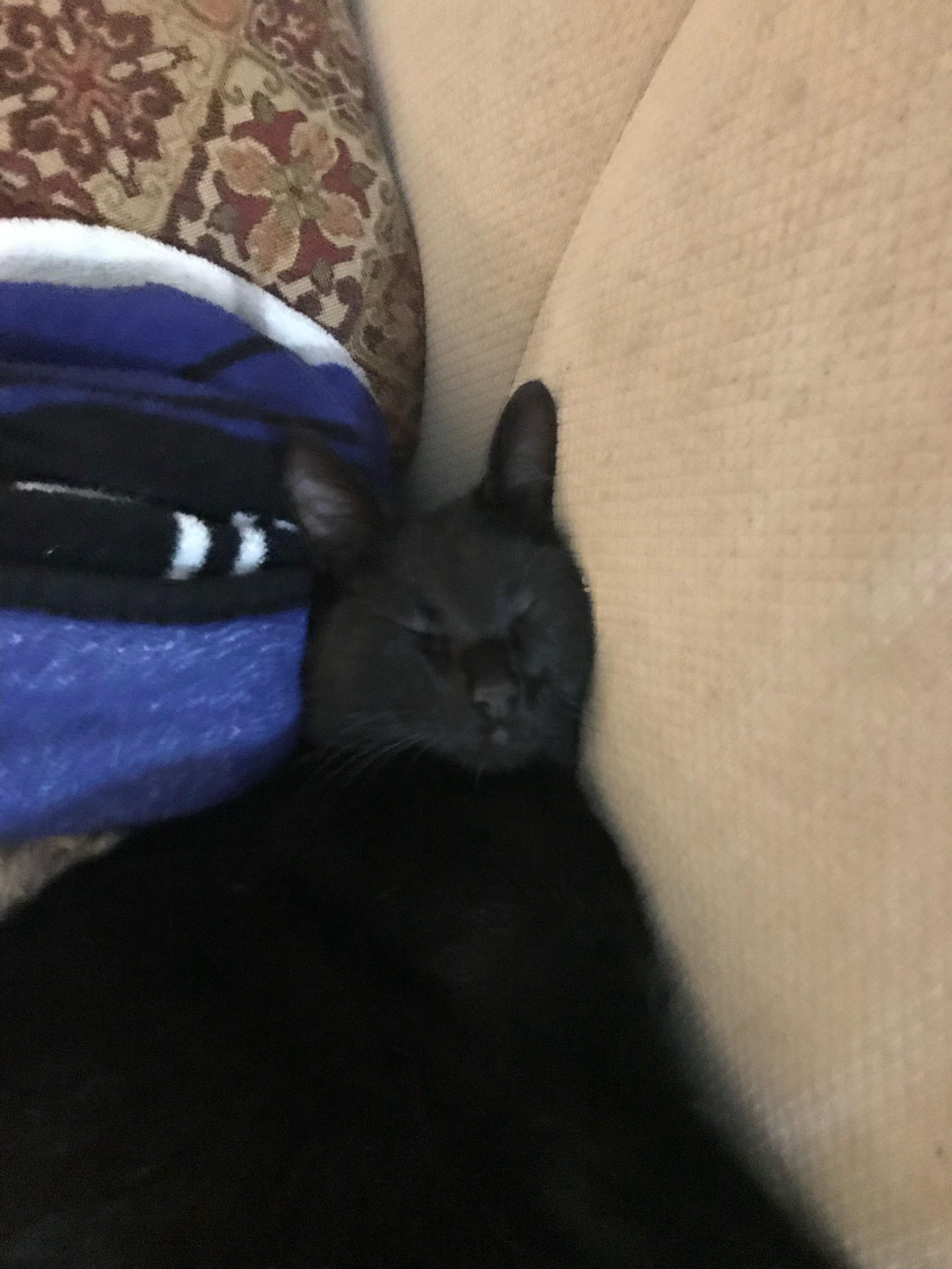 Sleepy squish | Scrolller