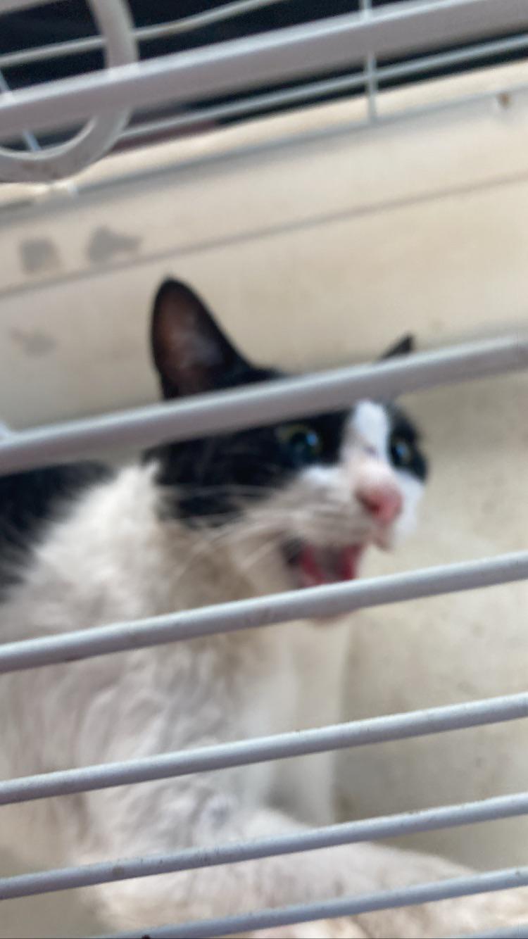 She’s almost fully healed | Scrolller