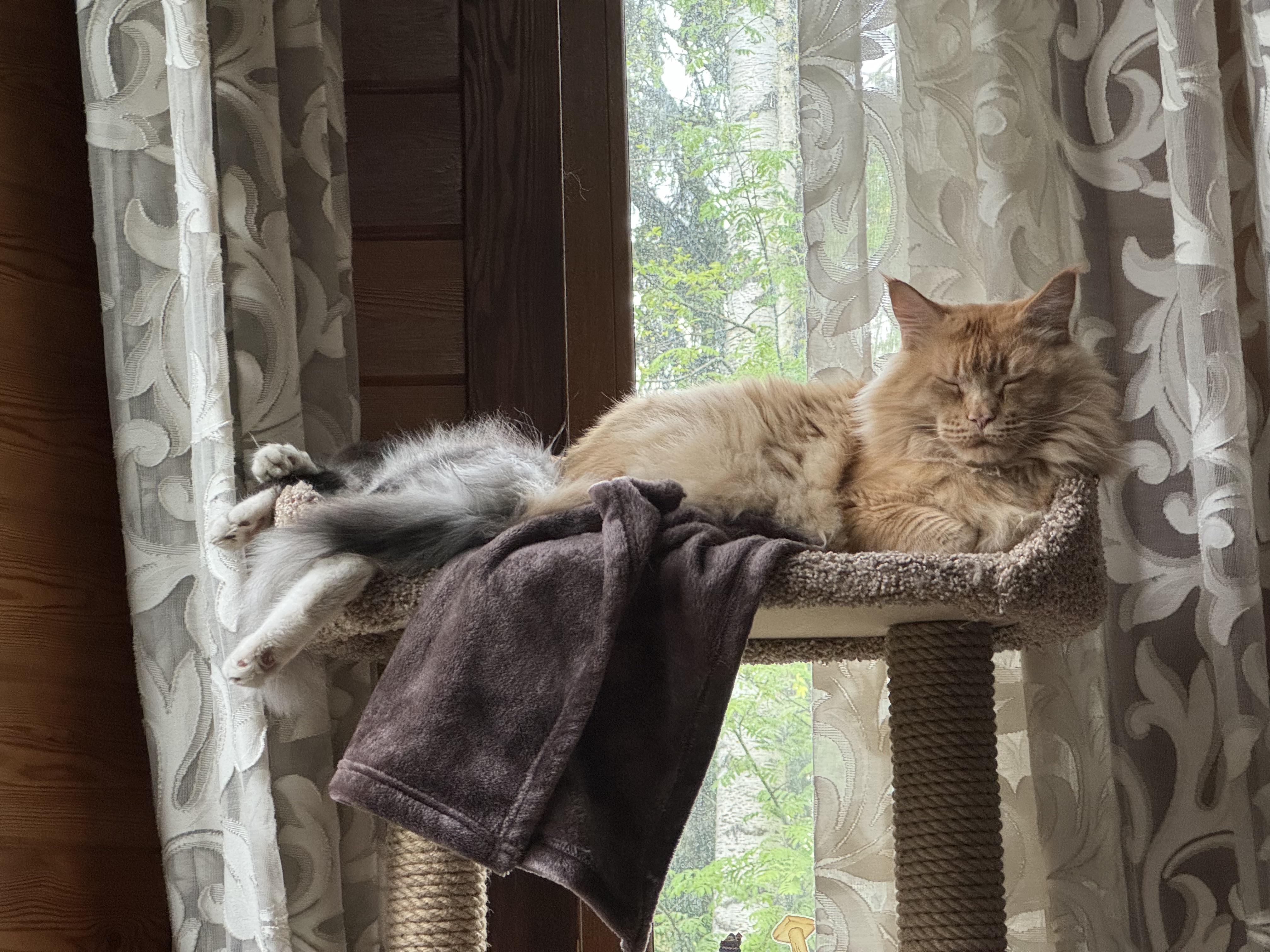 Astarion always makes space | Scrolller