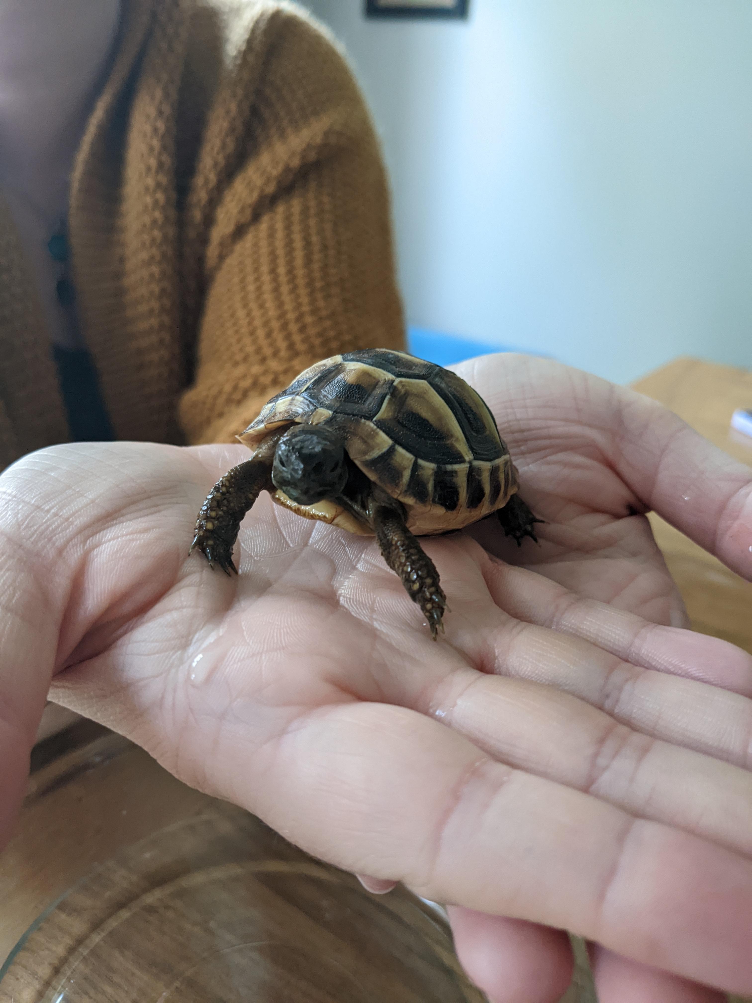 Help naming | Scrolller