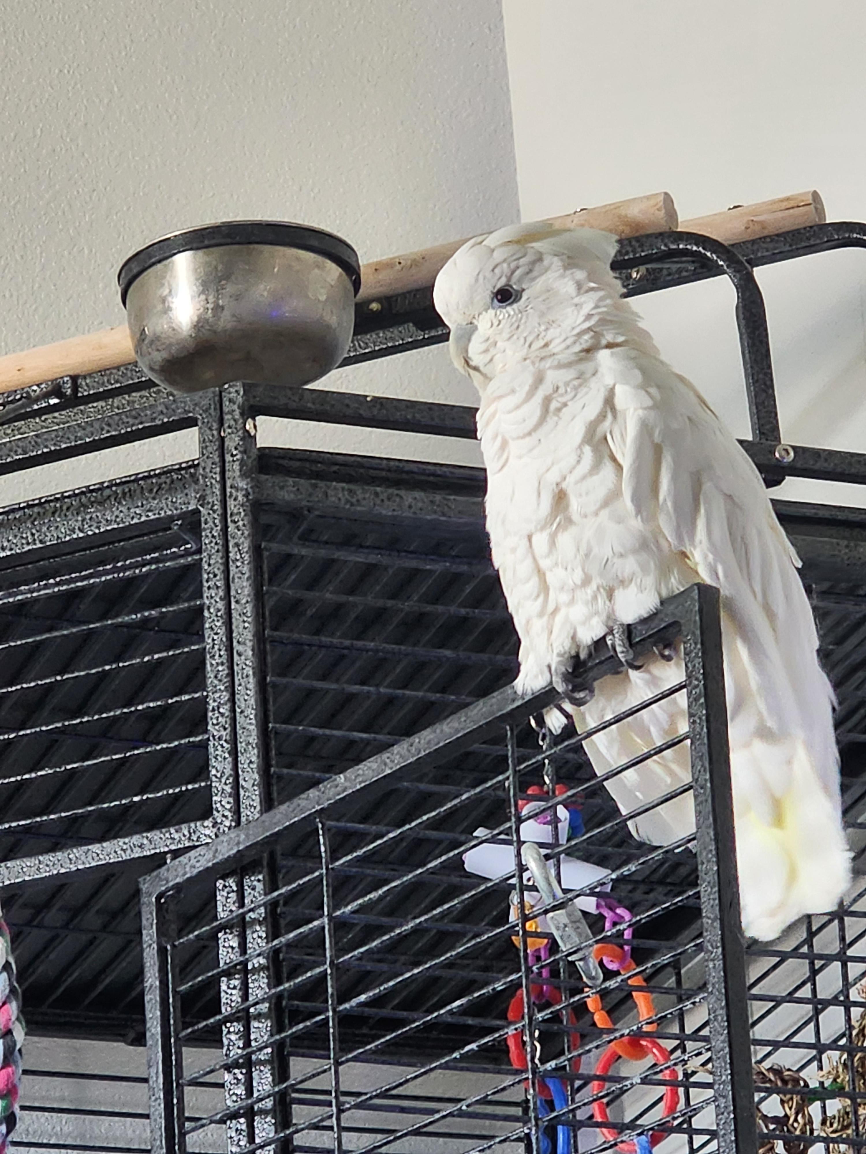 This is Peaches | Scrolller