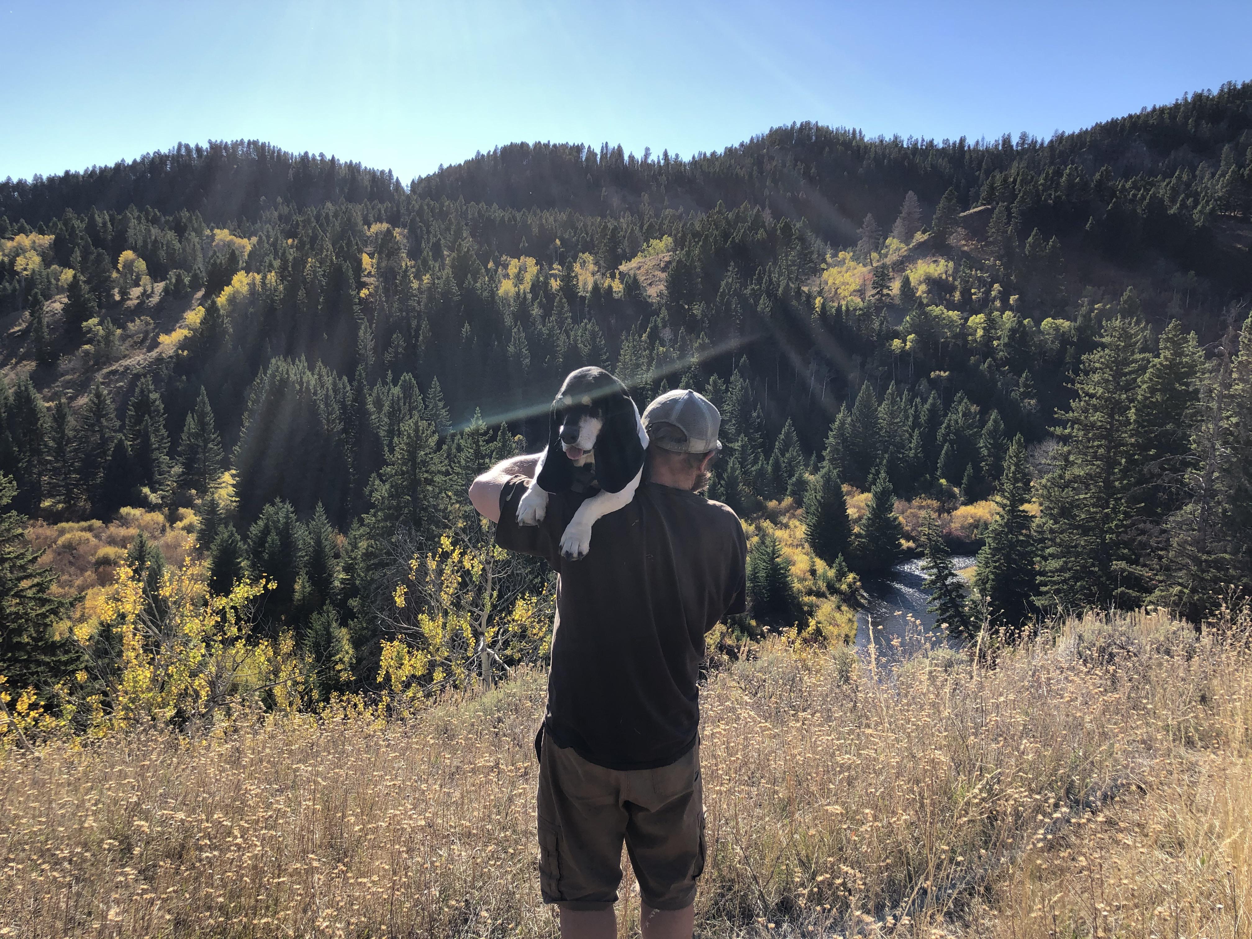 Rosie (aka Rosie Toes, Nosy Rosie, Miss Rosie, Coziest Rose) | Scrolller