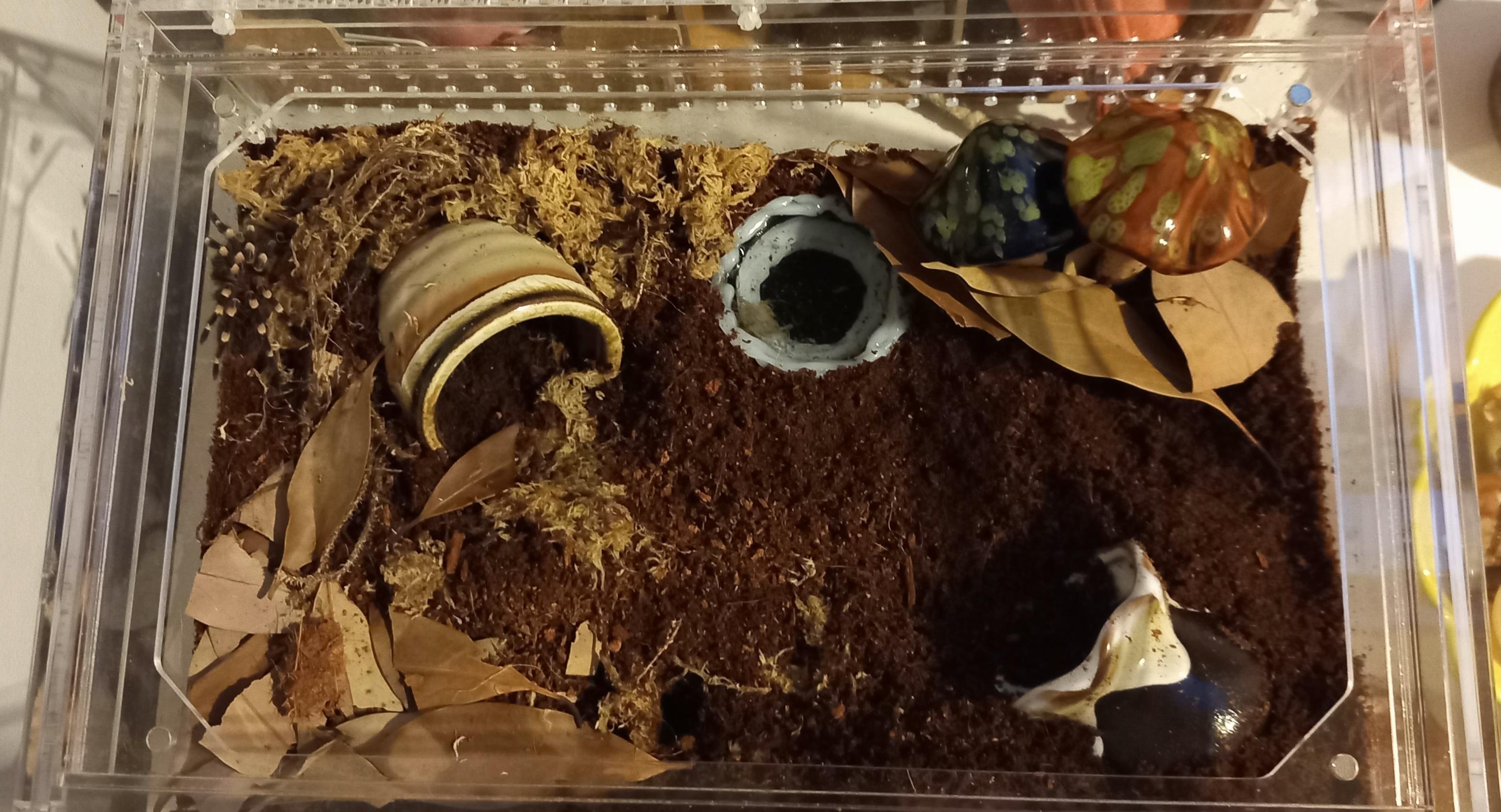 Another enclosure upgrade | Scrolller