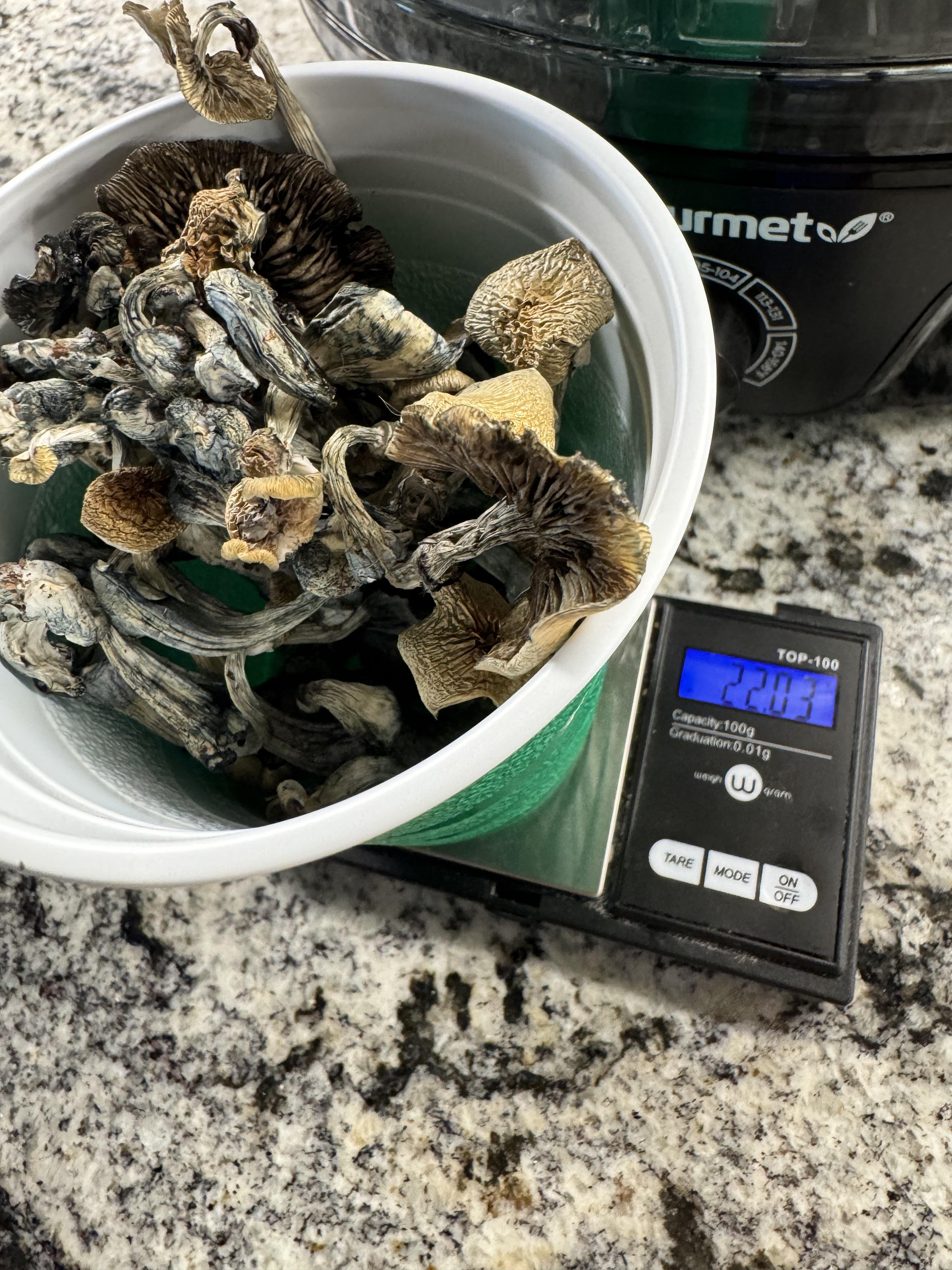 Finished my first grow. Came out to 22gs dried. Definitely going in for more soon. | Scrolller