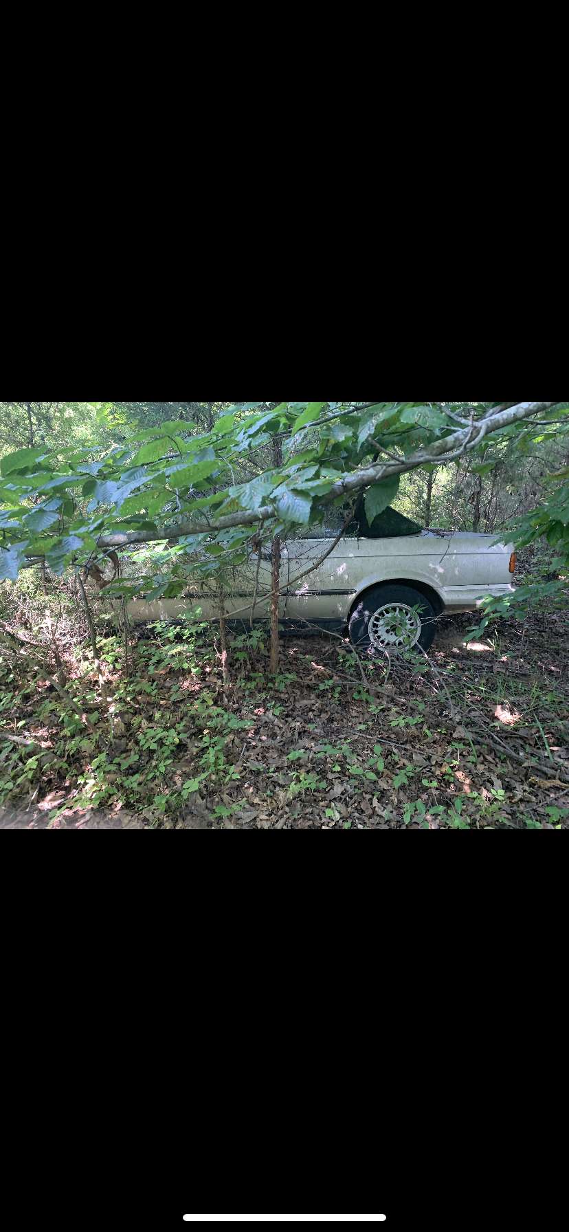 Worth Saving? | Scrolller