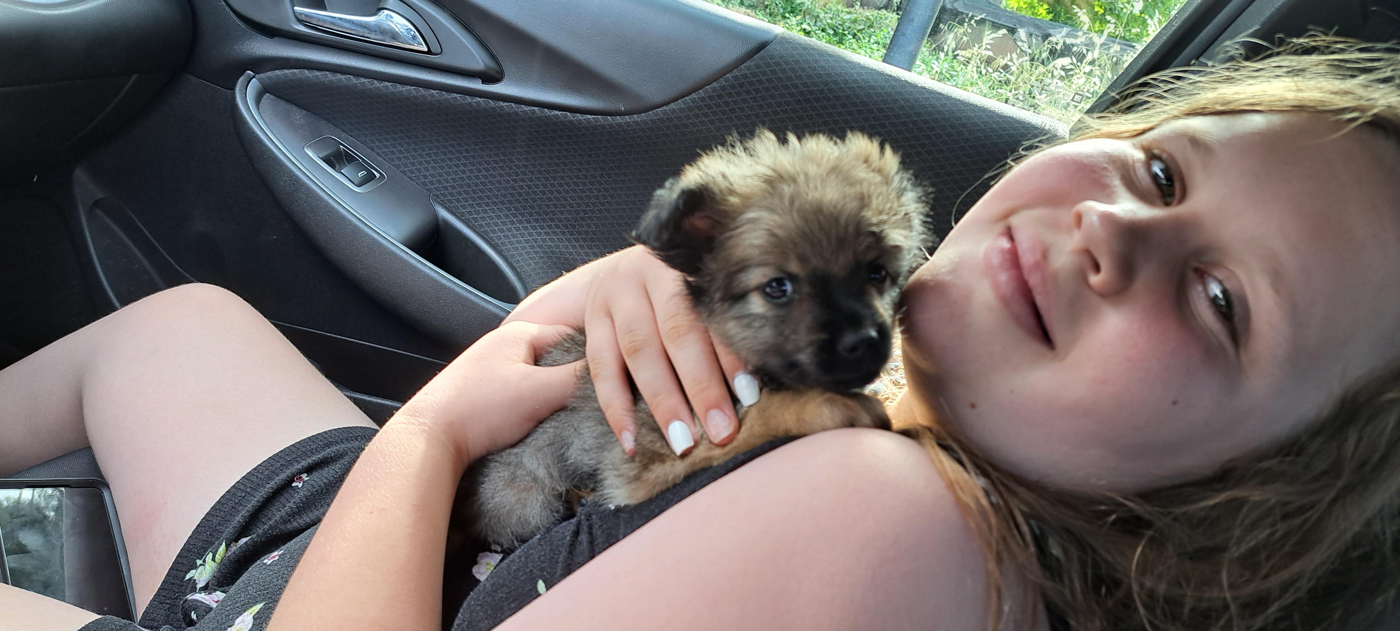 Meet terminator!! 😂😂 | Scrolller