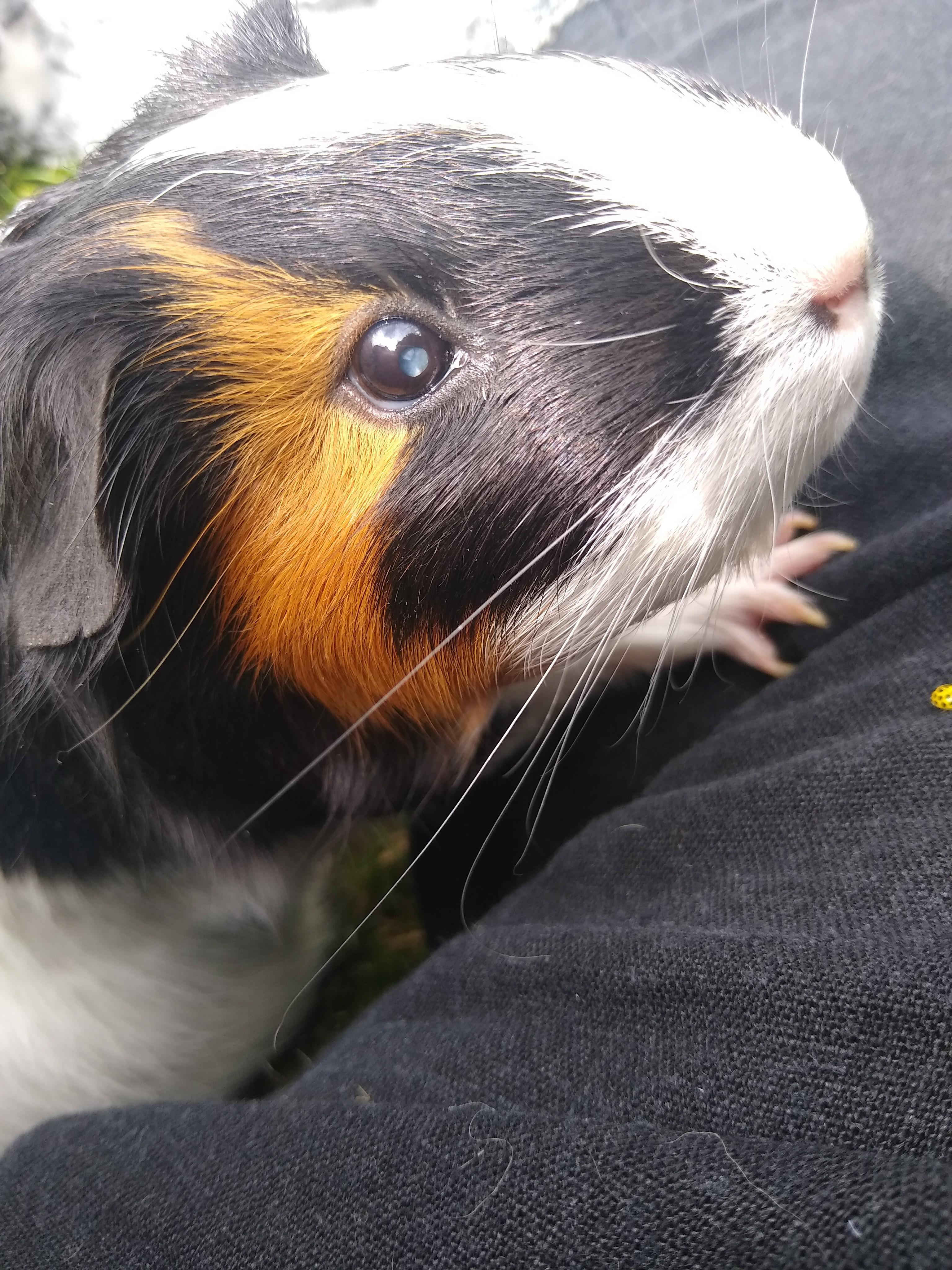 Foster girls Bea and Martha | Scrolller