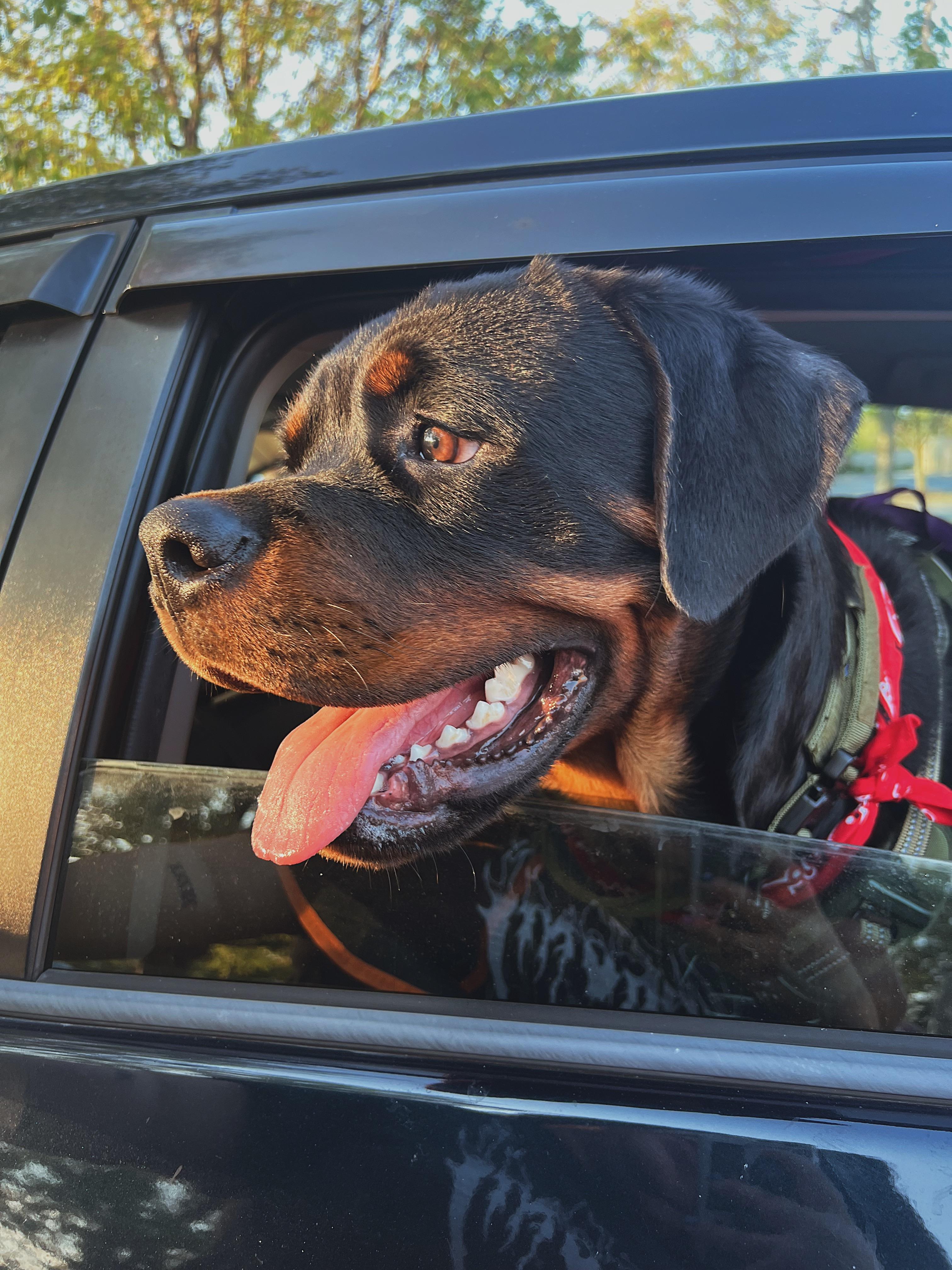 Say cheese!!! | Scrolller