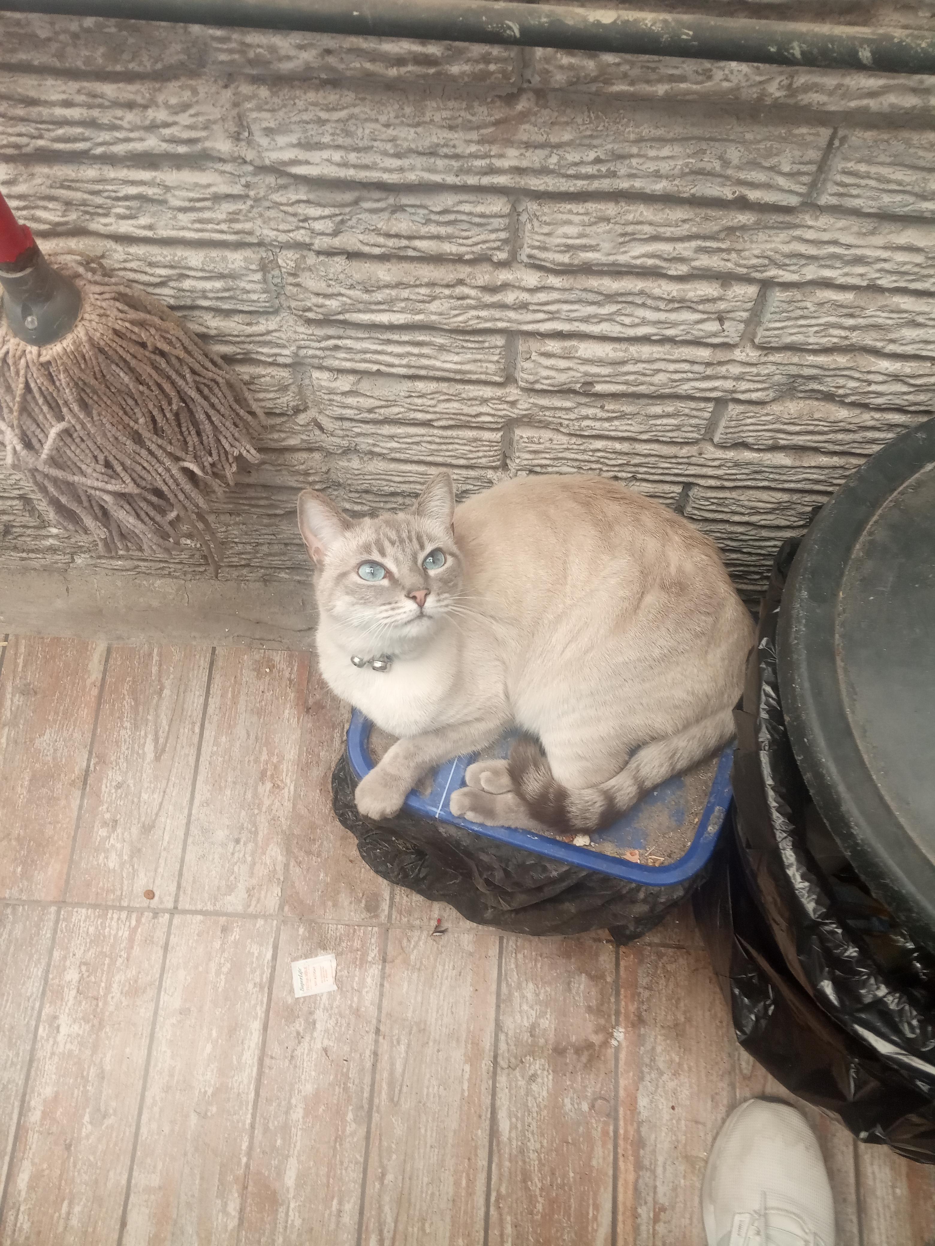 Over the composter | Scrolller