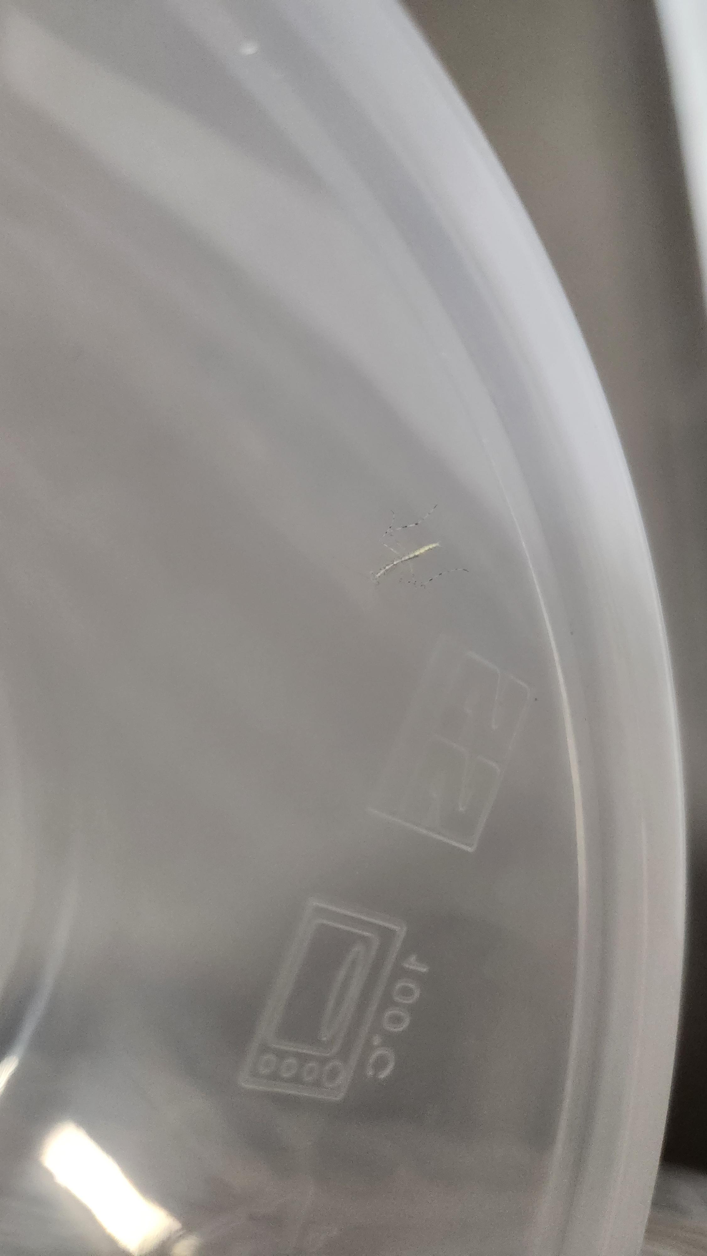 What is this bug?!! | Scrolller