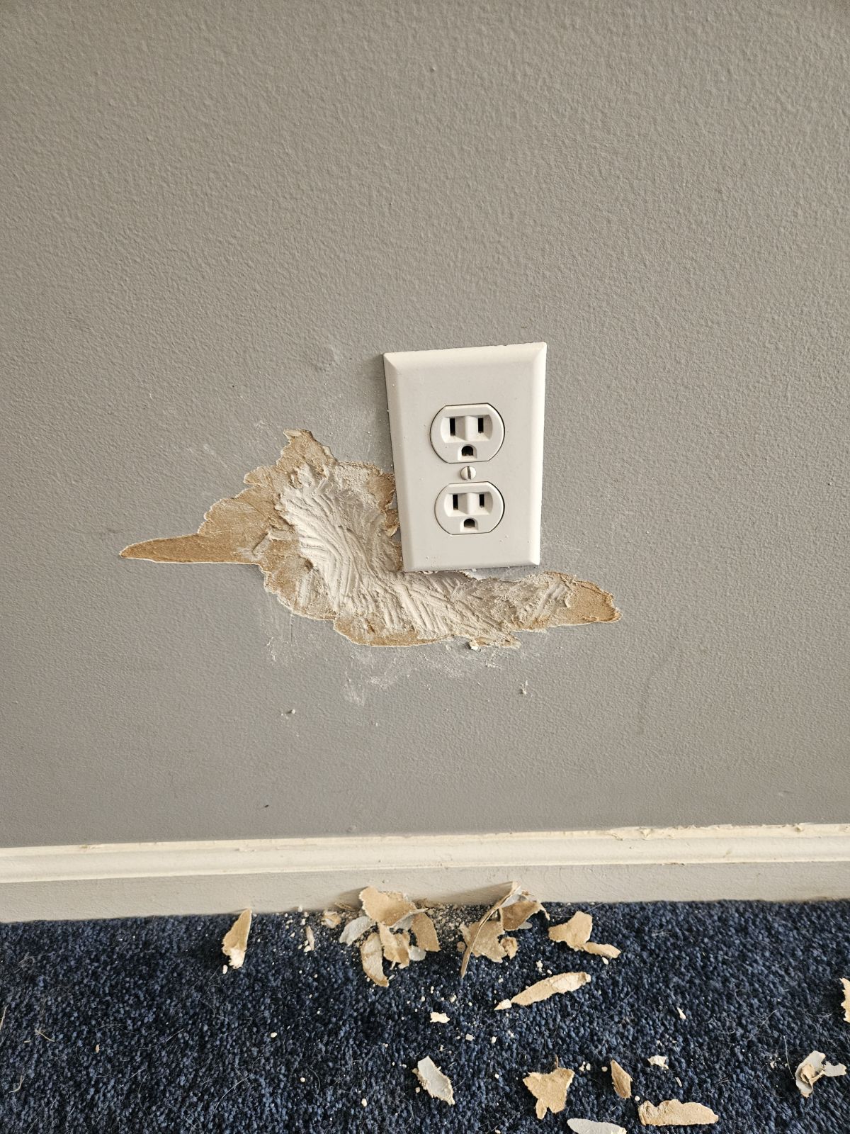 You guys weren't kidding about the landshark phase. | Scrolller