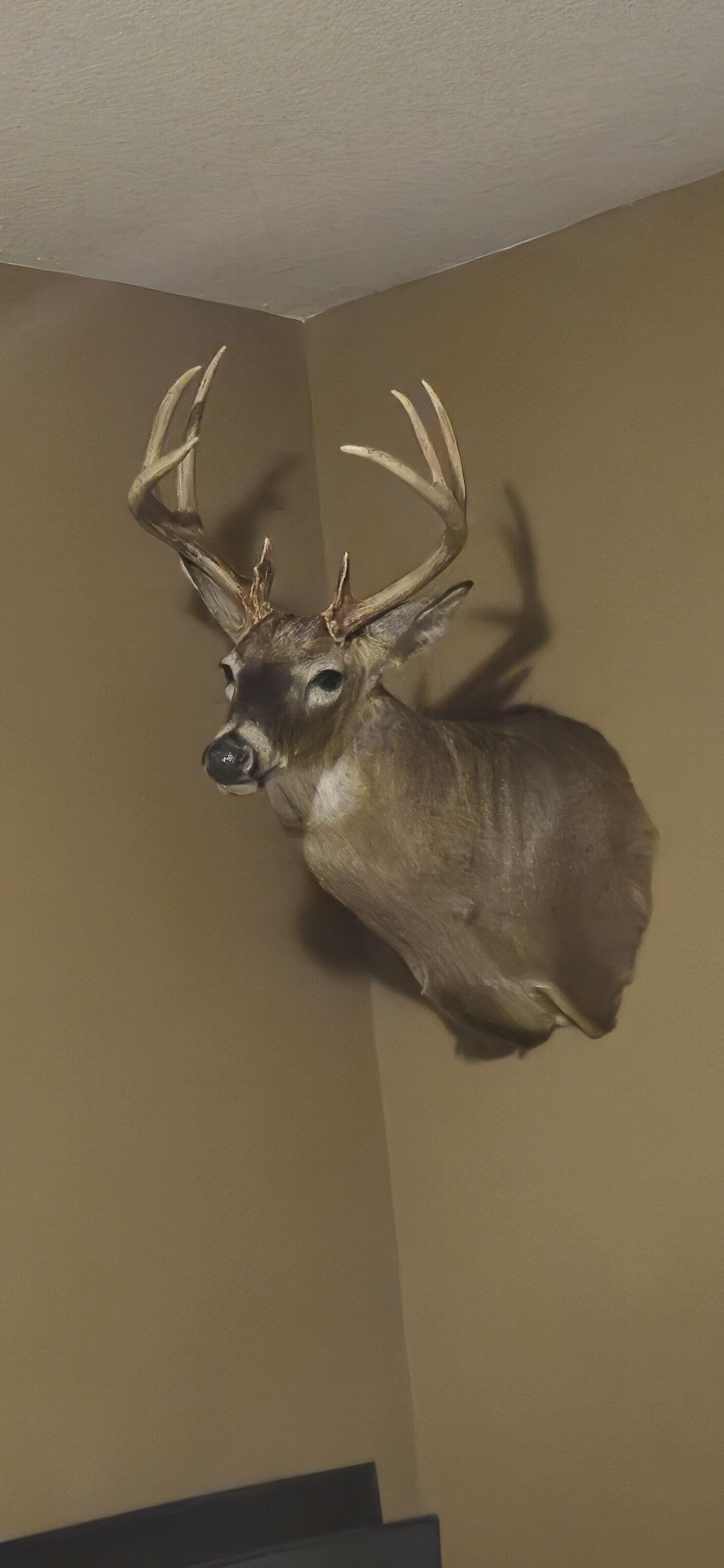 Discover more like Hunting: Finally got my buck back and Related Content | Scrolller