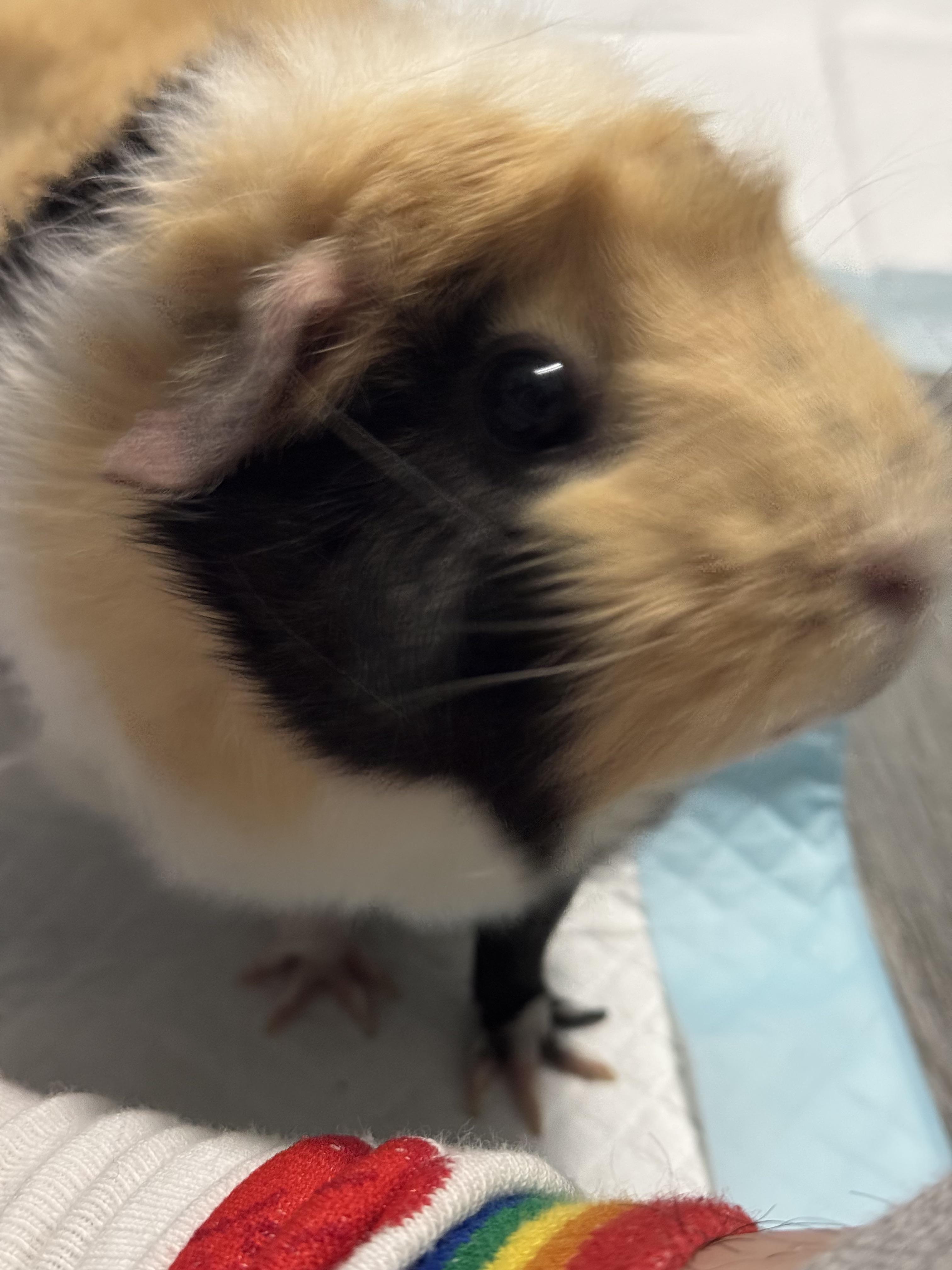 Butters Bonding 💙 | Scrolller