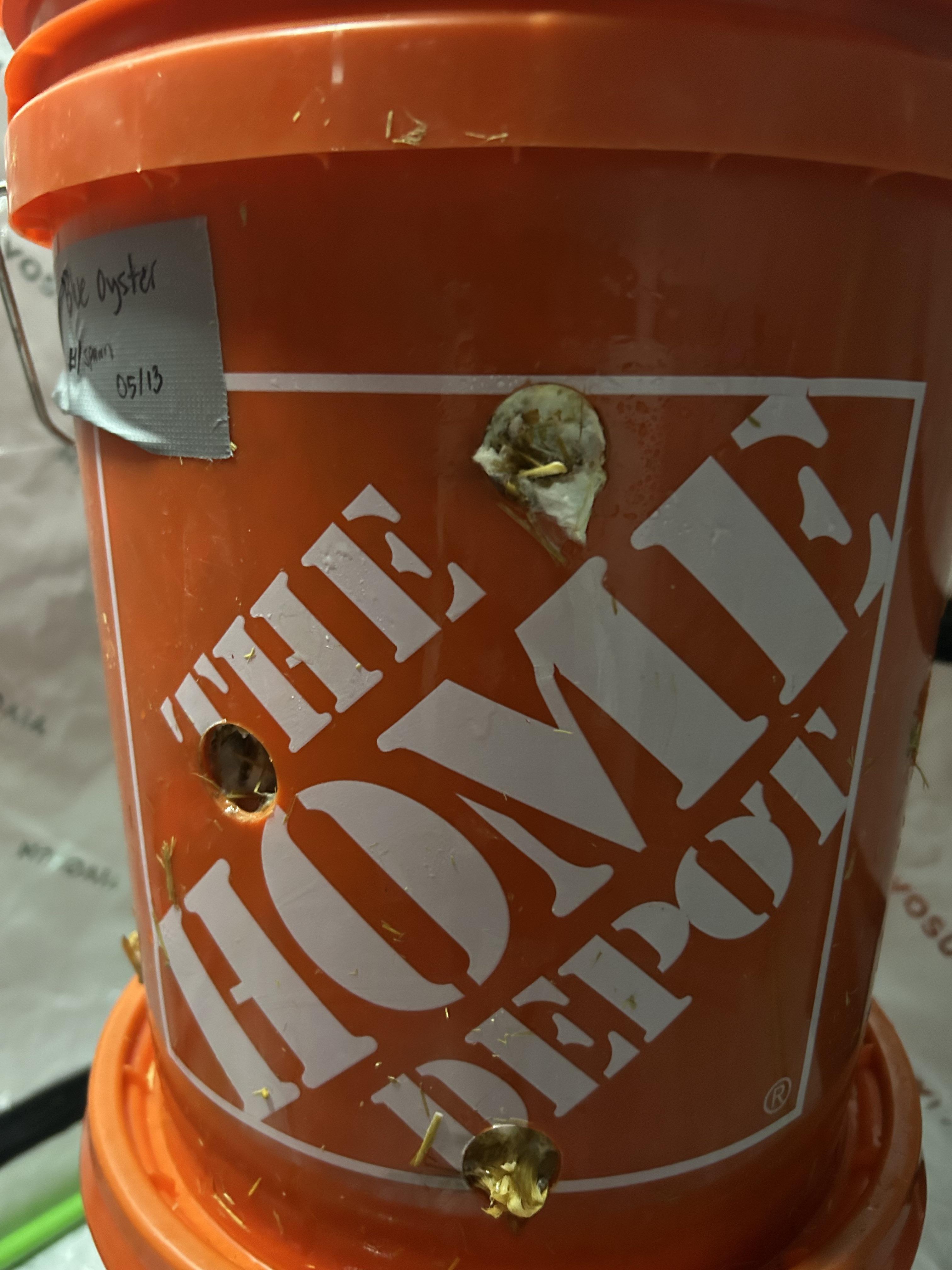 [GENERAL] First time bucket tek | Scrolller