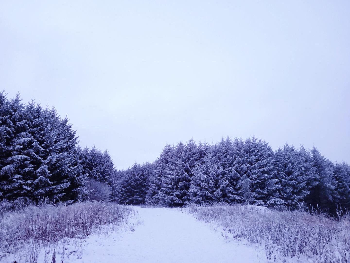 Snowy hill view | Scrolller