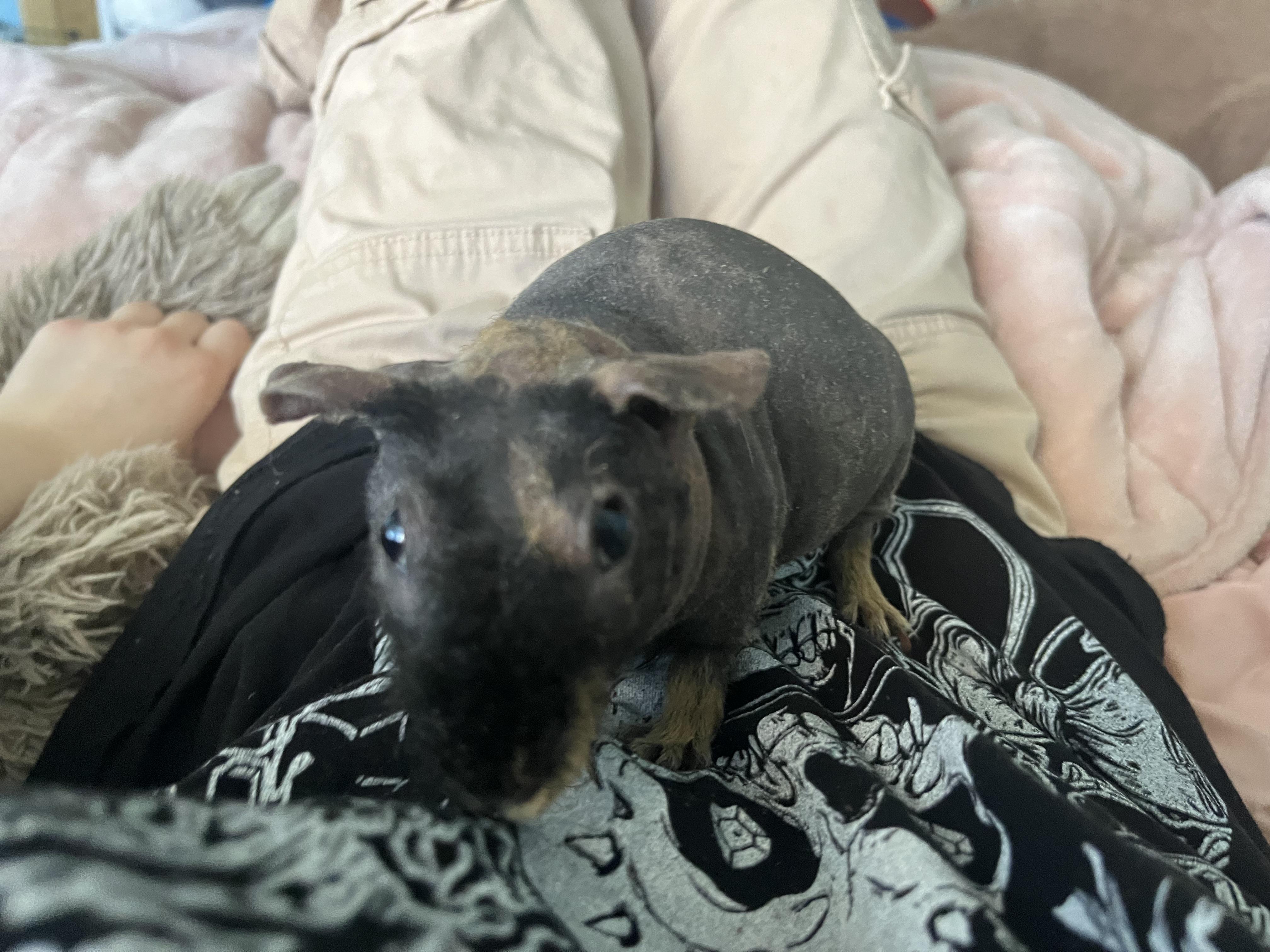 Dumpy photo dump(y) | Scrolller