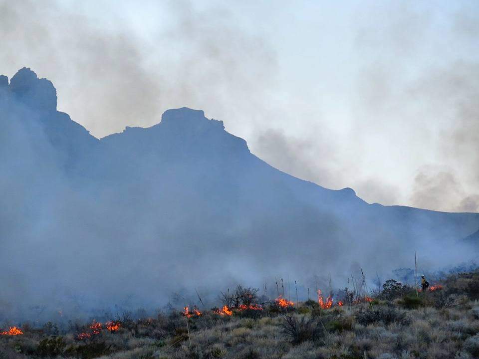 Some oldies from Big Bend | Scrolller