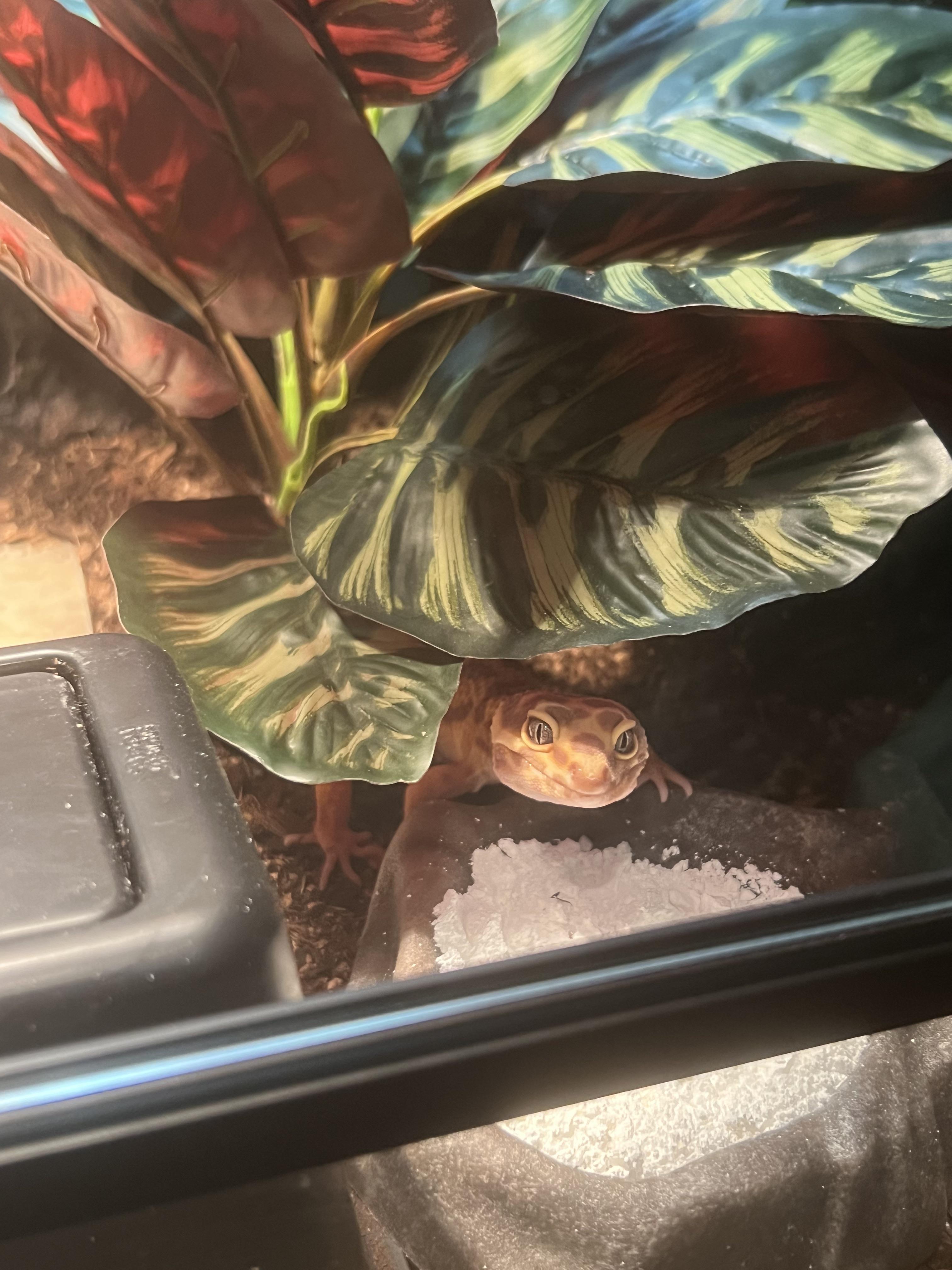 Spicy af 🌶️ | Scrolller