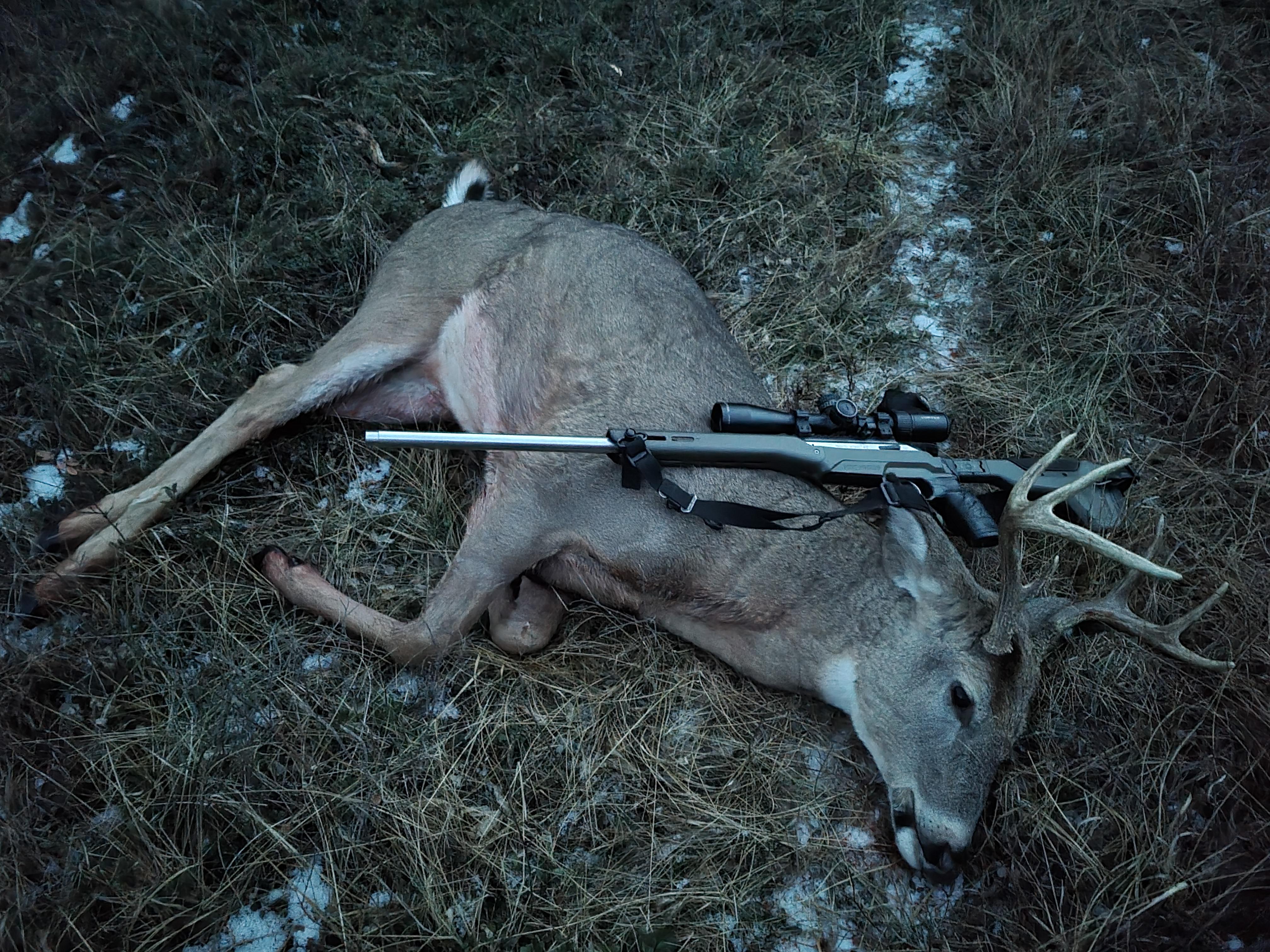 Has anybody else ever seen a 308 not fully penetrate a whitetail deer | Scrolller