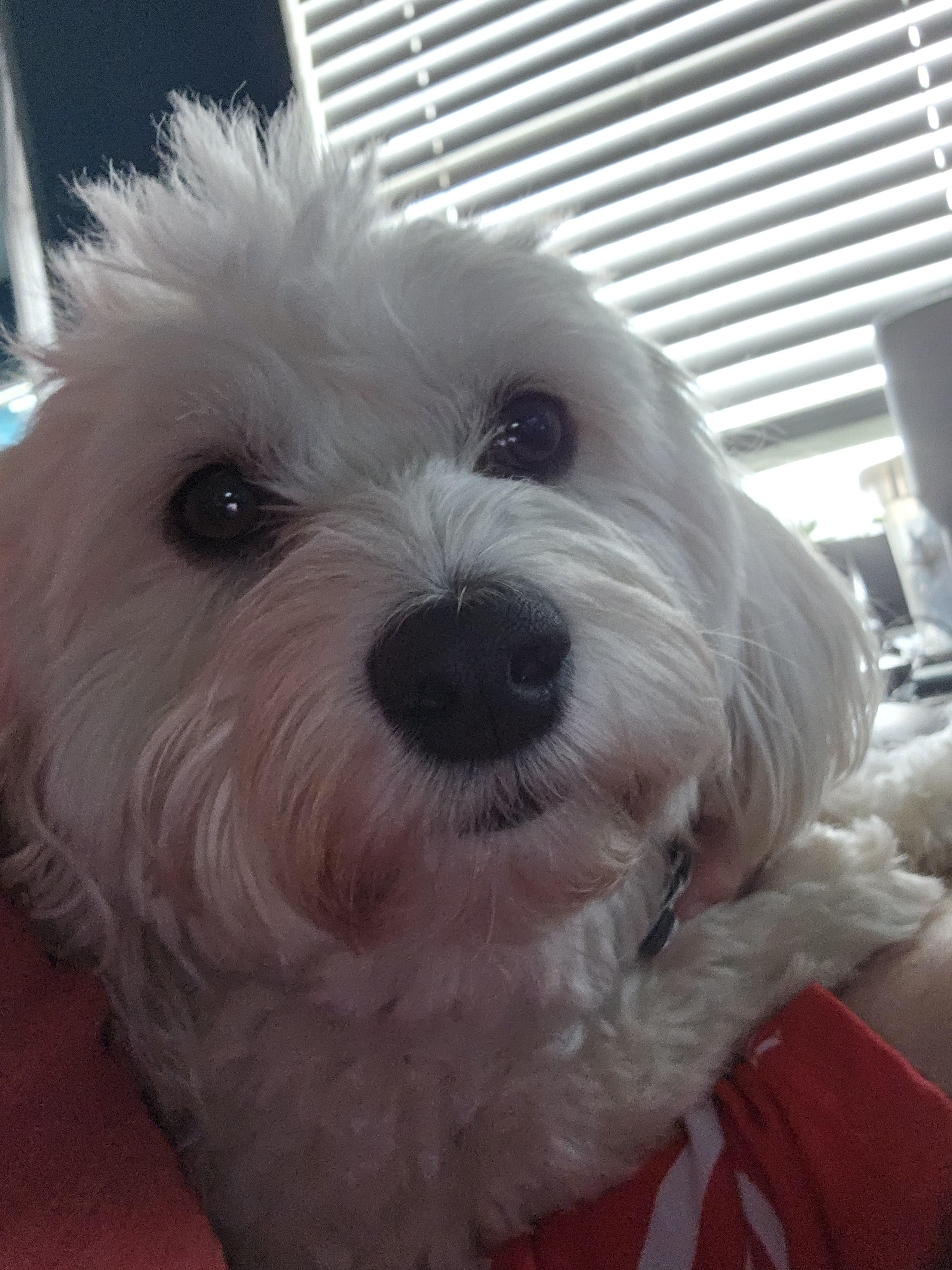 Friday cuddles | Scrolller