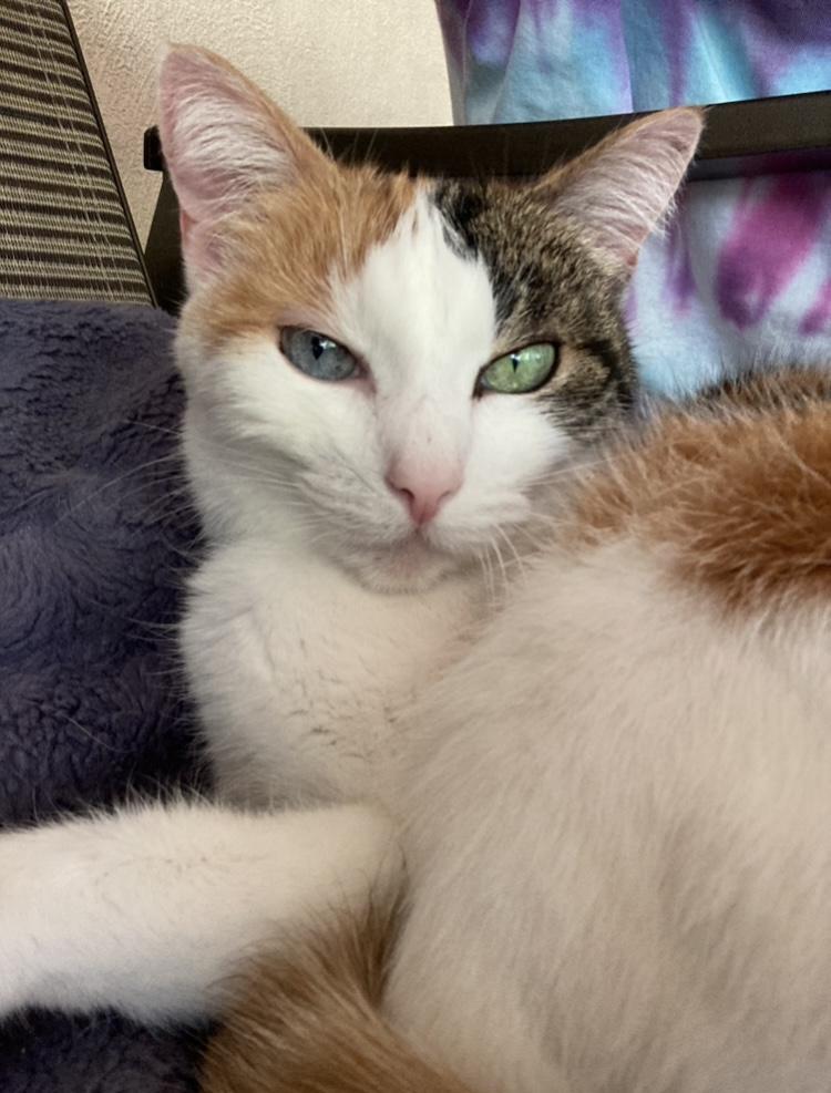 2009 vs 2025🩵💚 | Scrolller