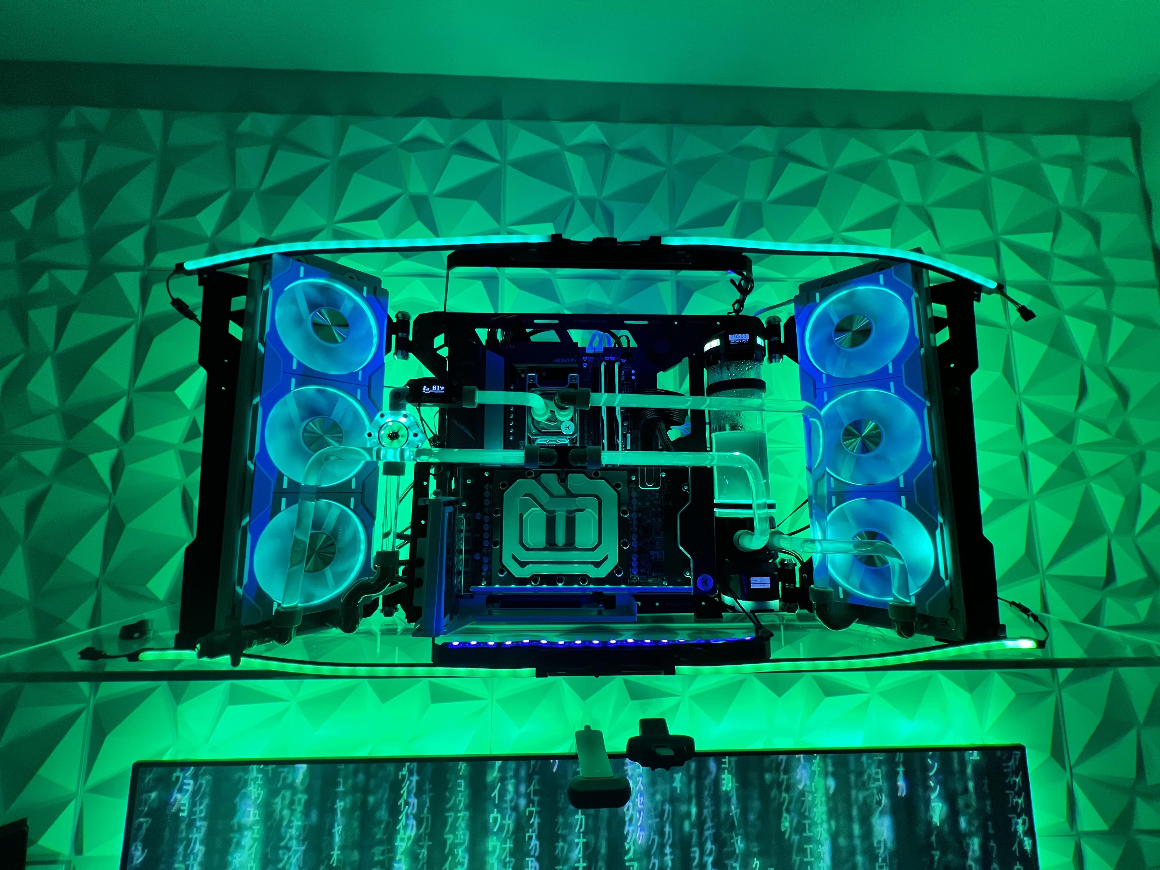 First Loop pictures | Scrolller