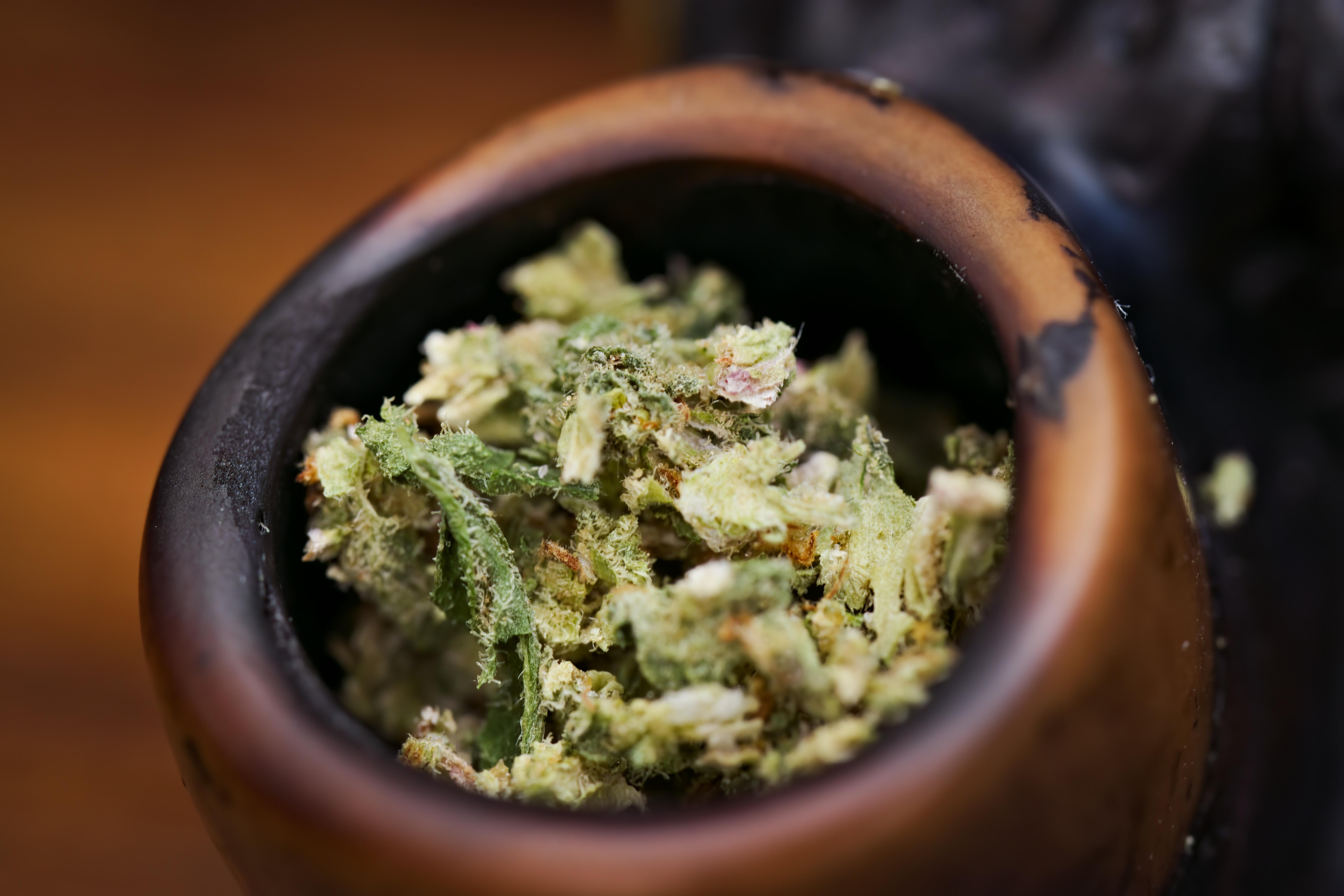 I was told to post my weed pics here, so I'm posting my weed pics here. Cheers. | Scrolller