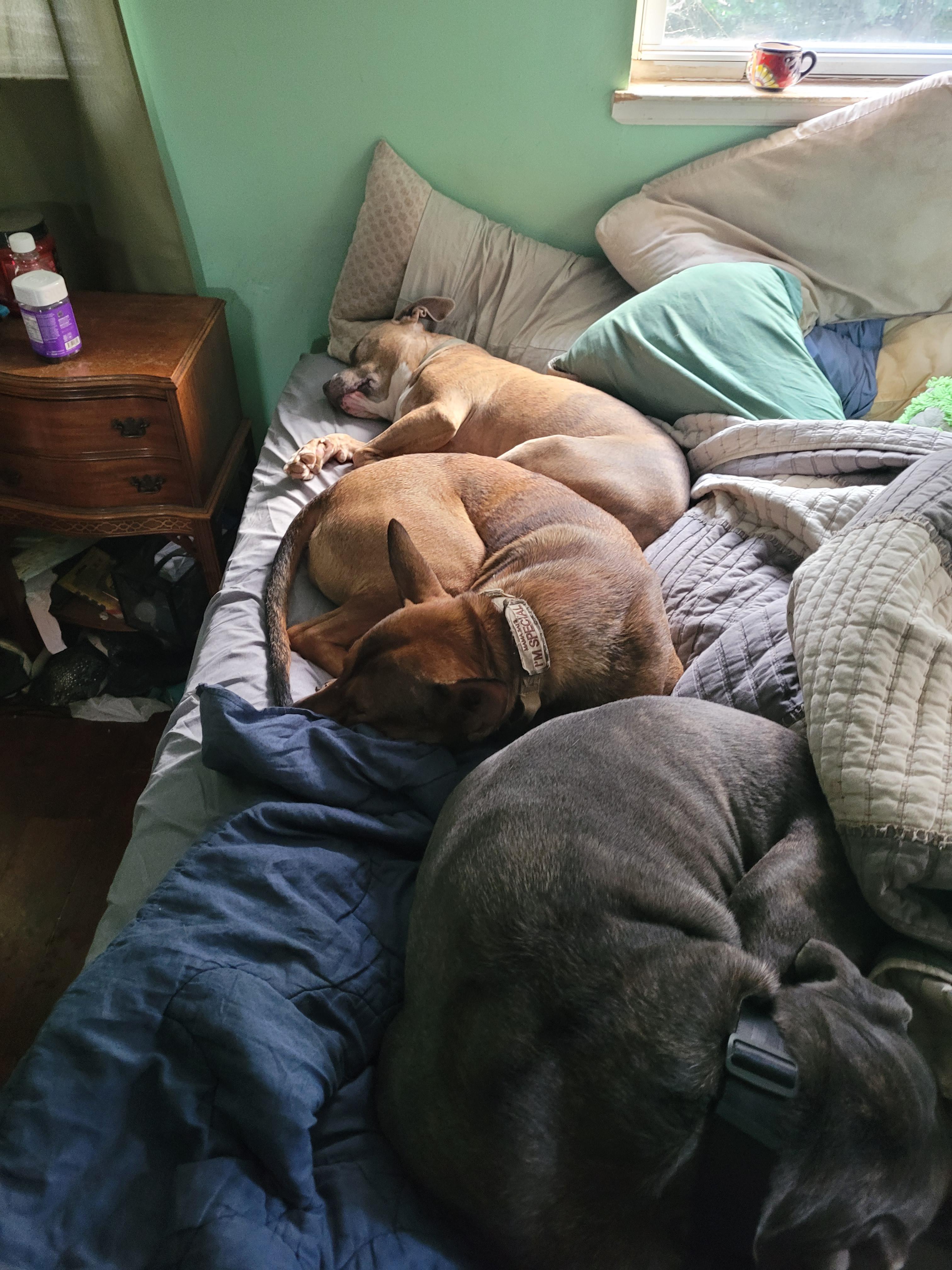 Every morning when my husband leaves for work. | Scrolller