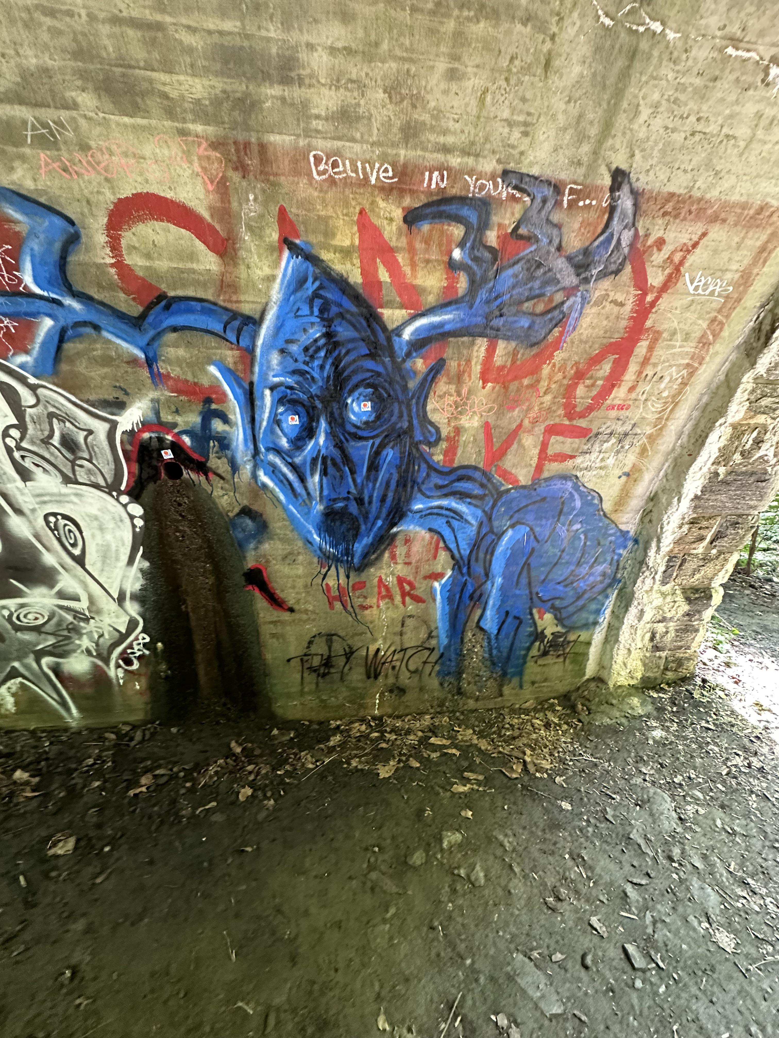 Exploring, under a bridge | Scrolller