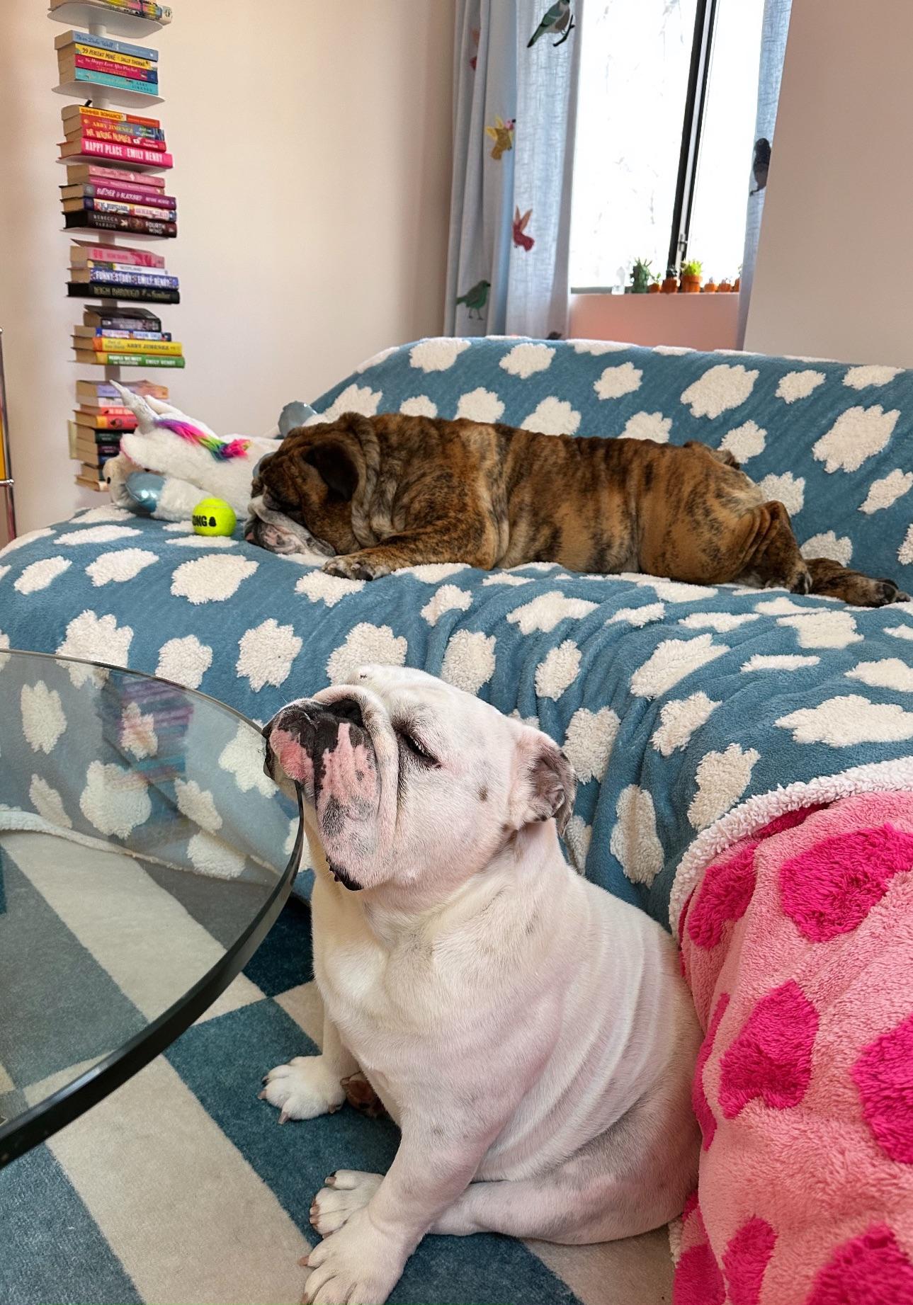 FDR and Benjamin Franklin hard at work 😂 | Scrolller