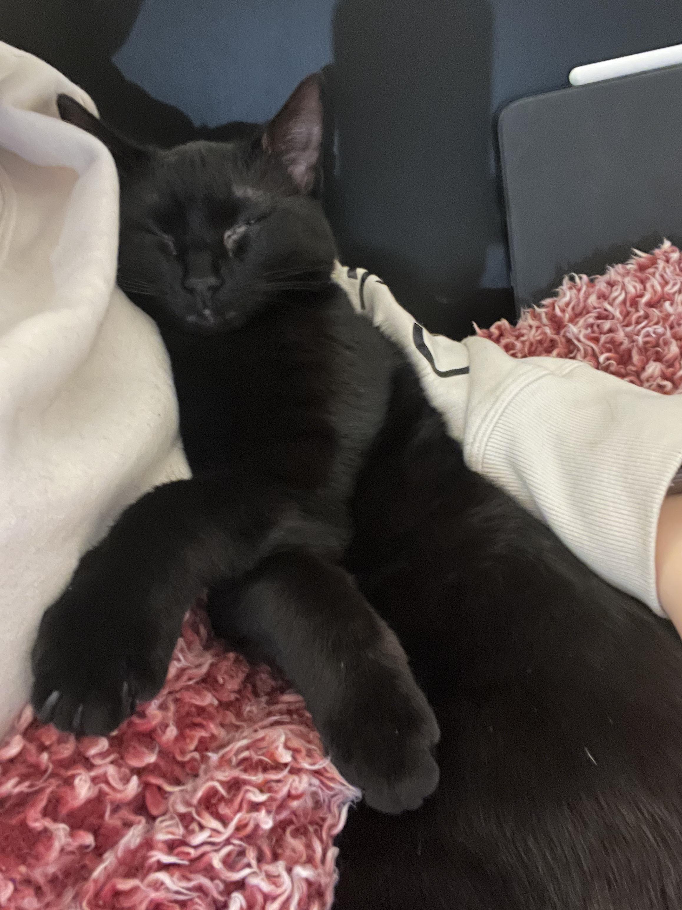 My cuddly void | Scrolller