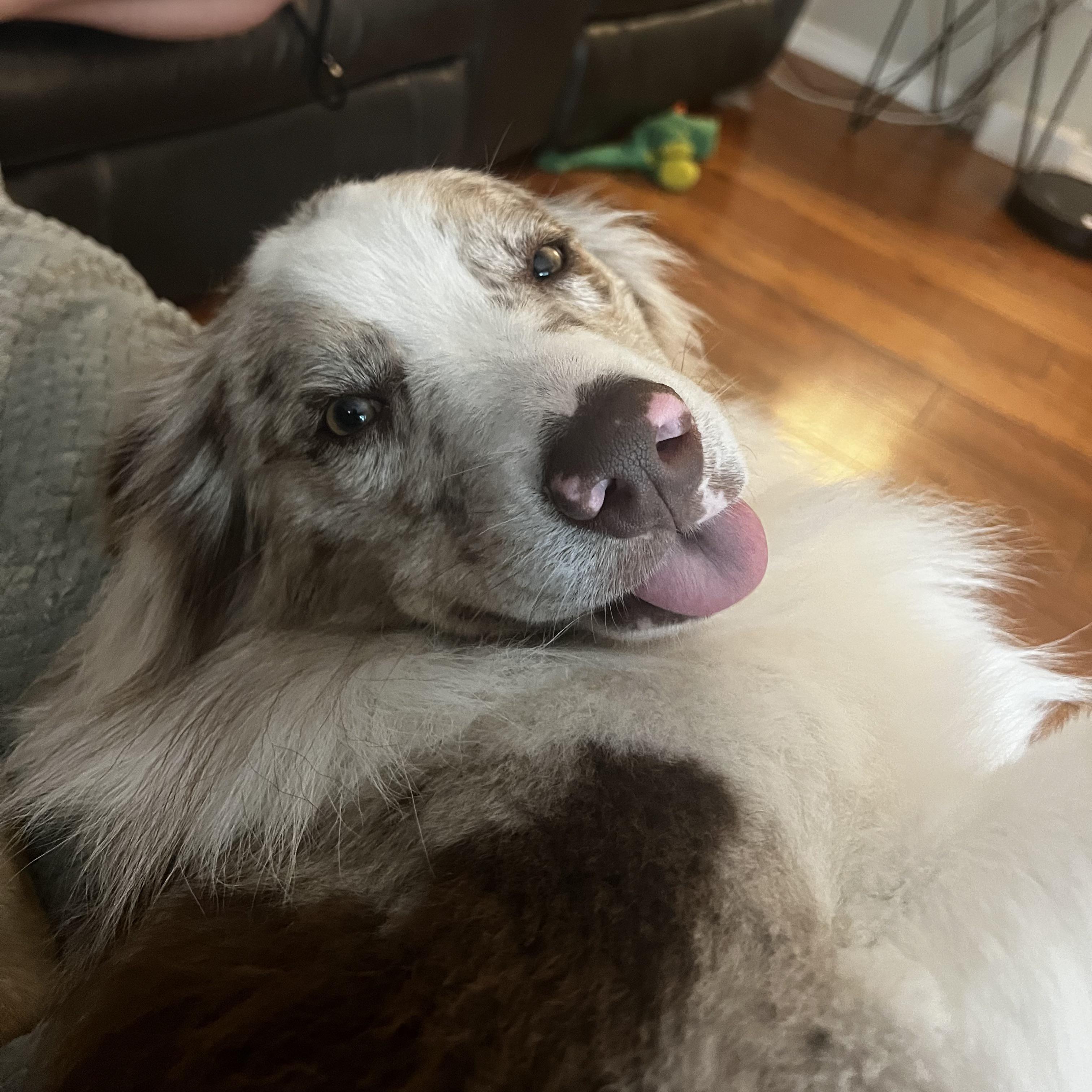 He Grin Oc Scrolller