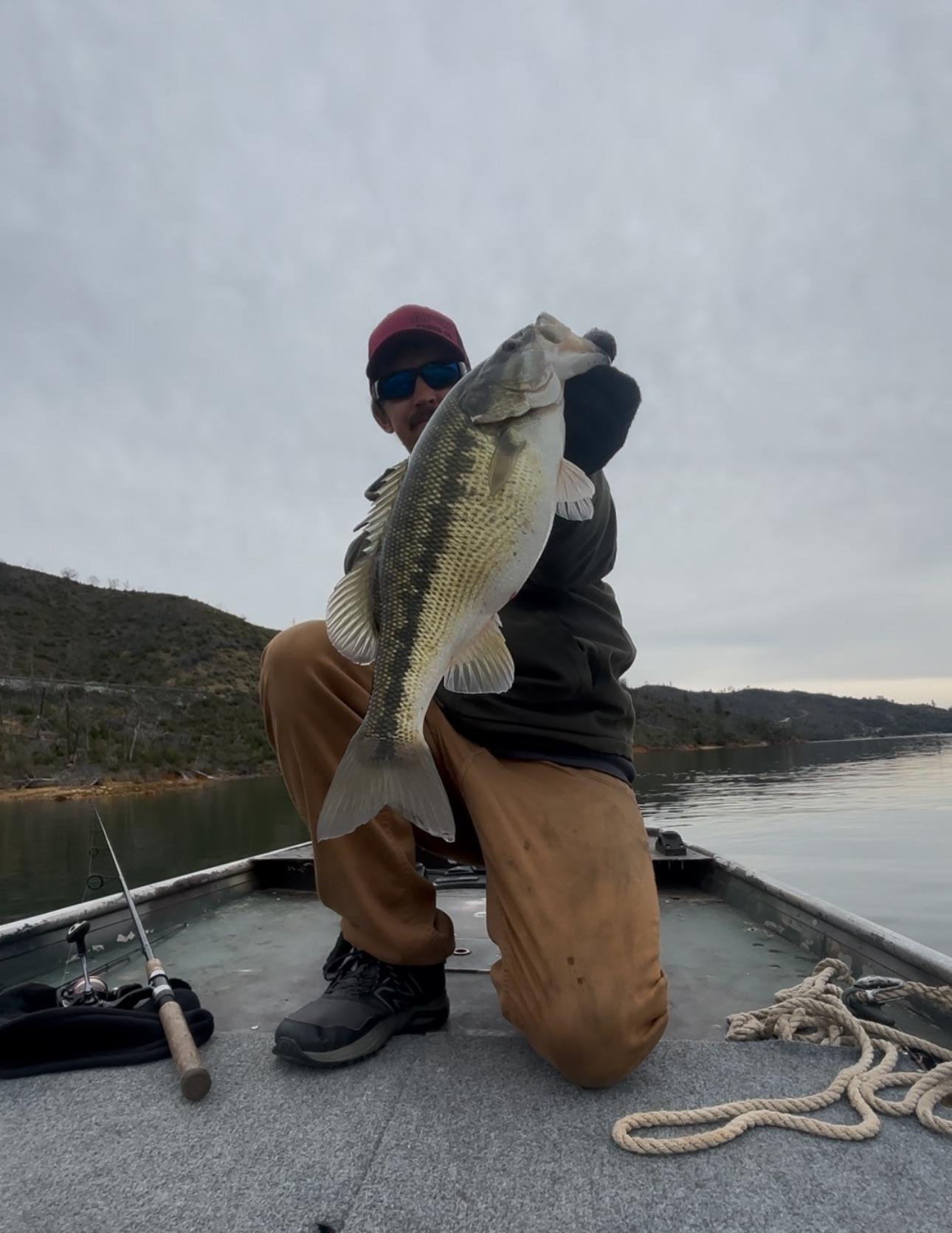 Some nice spots | Scrolller