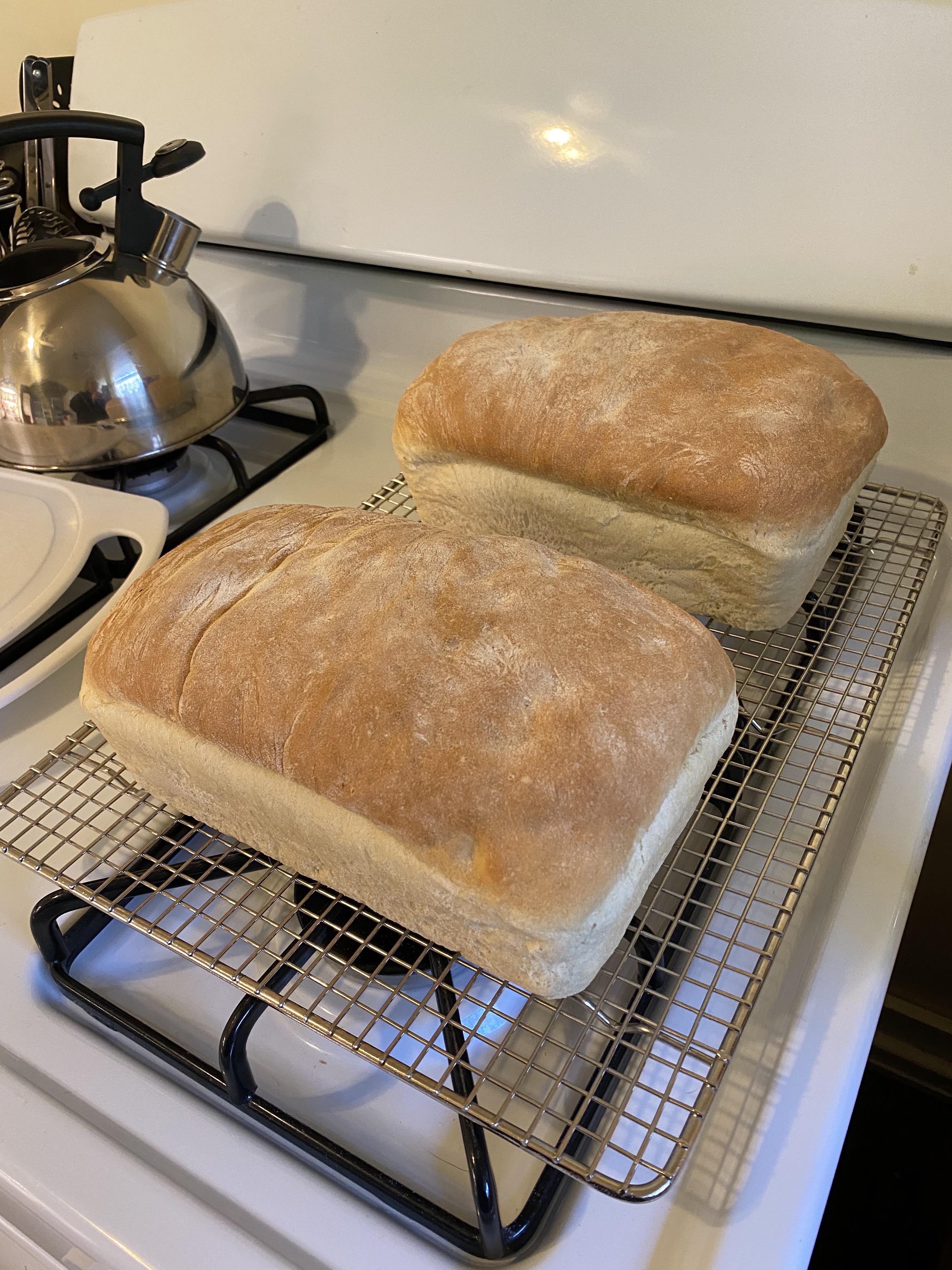 My first attempt w/Julia Child's white sandwich bread ... far from perfect, but oh the flavor ...